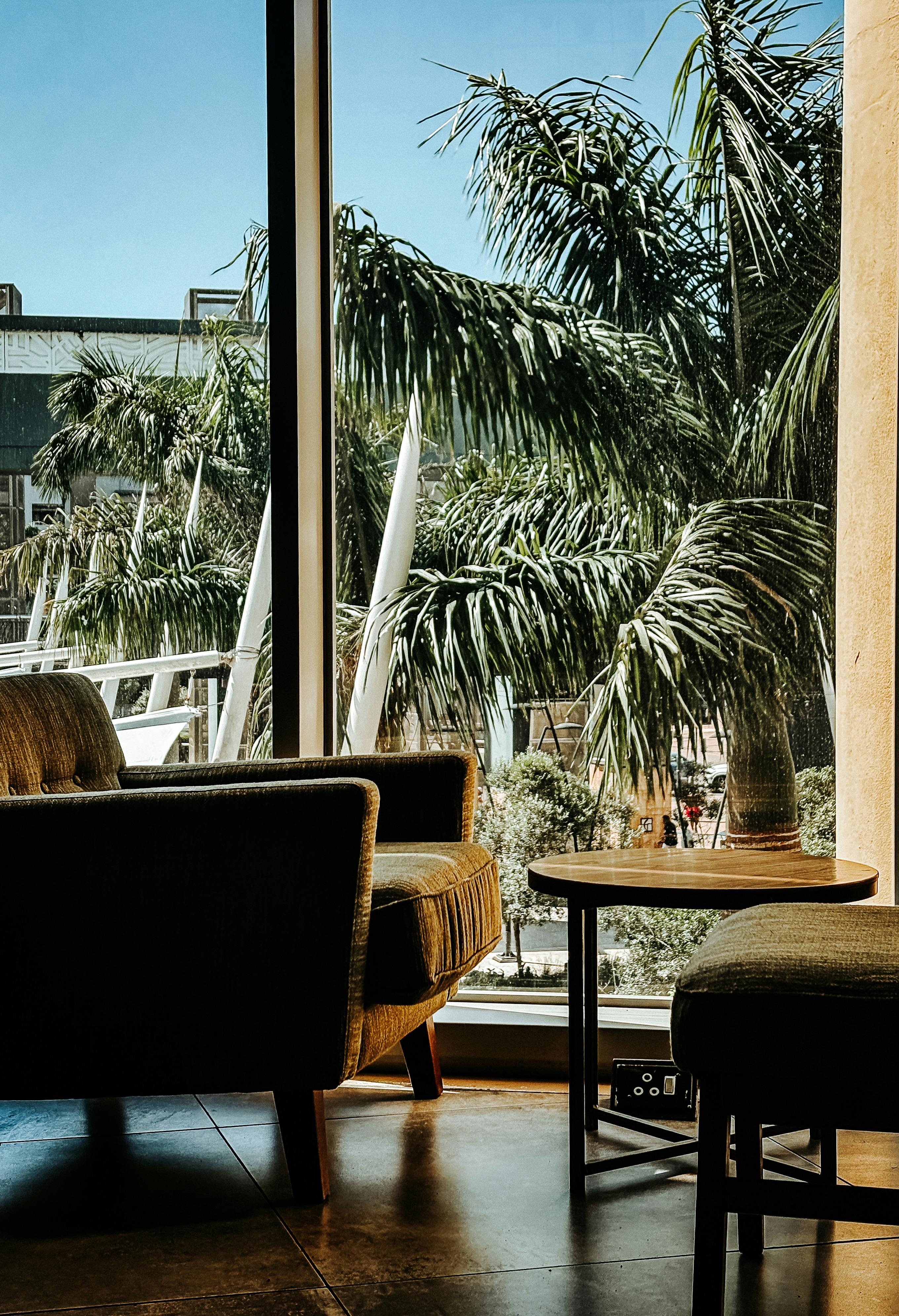 Relaxing Indoor View of Palm Trees Through Window · Free Stock Photo