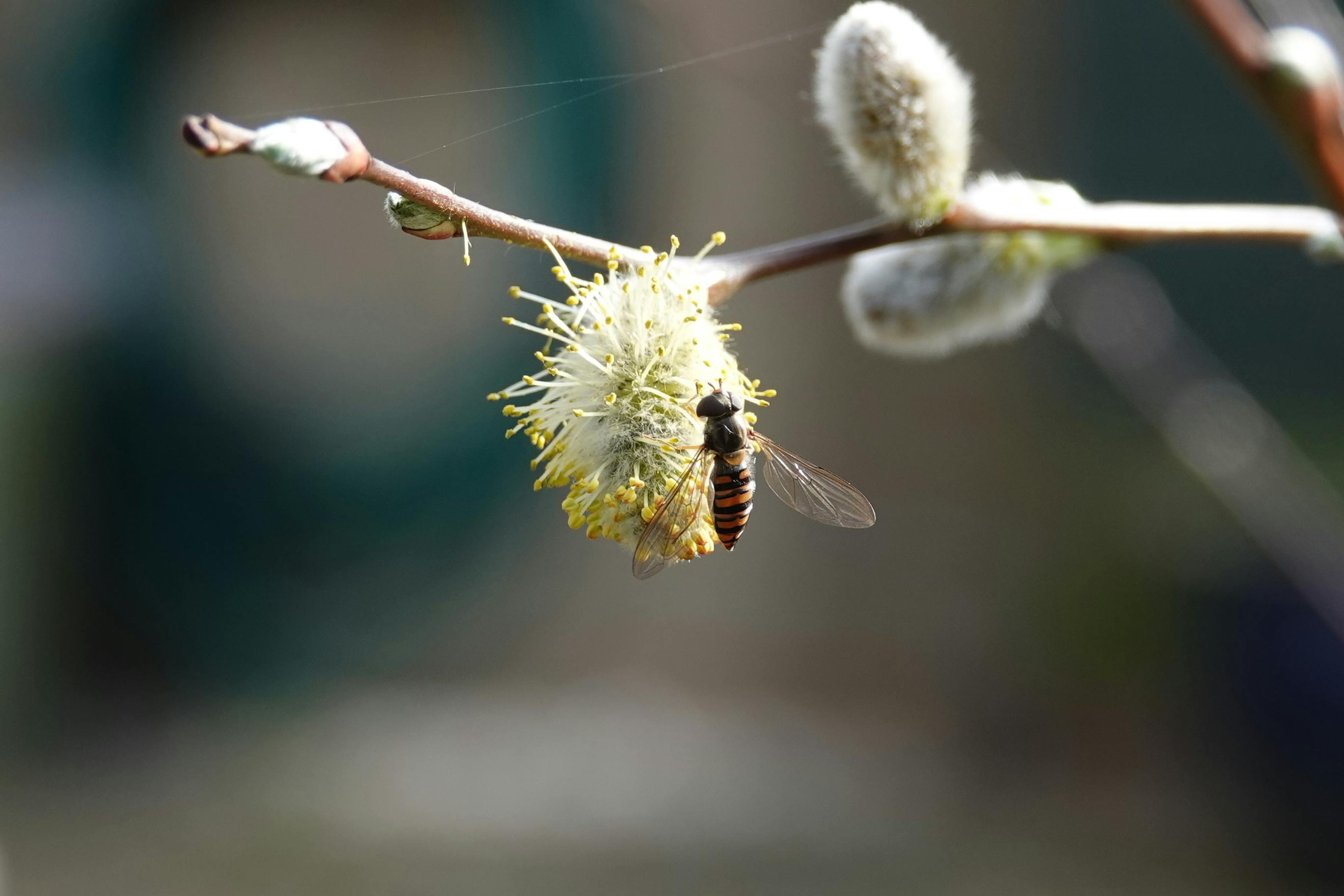 Filesfly+Pussy Photos, Download The BEST Free Filesfly+Pussy Stock ...