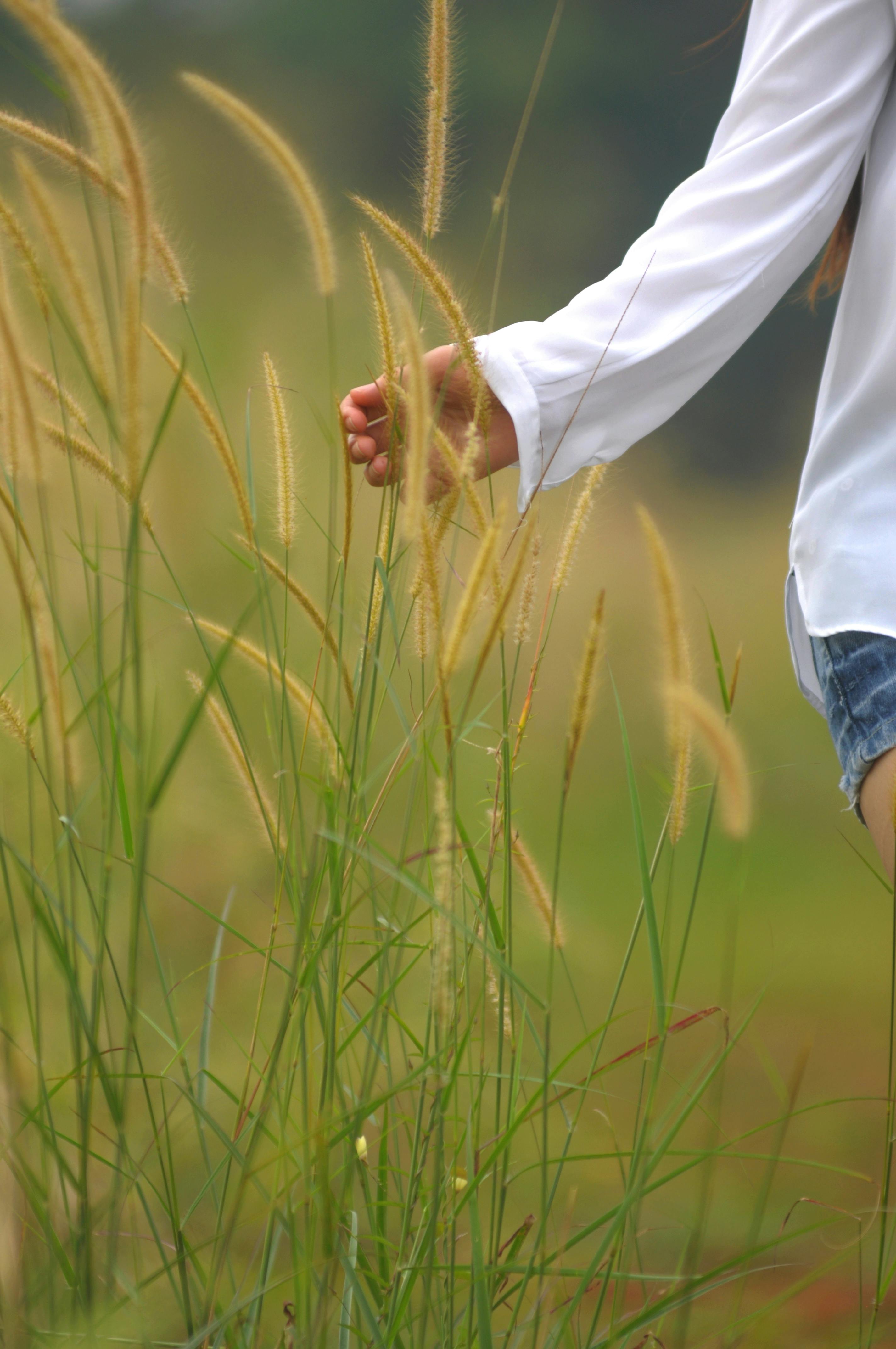 Mano De Mujer Tocando La Hierba Alta En Yakarta · Foto de stock gratuita
