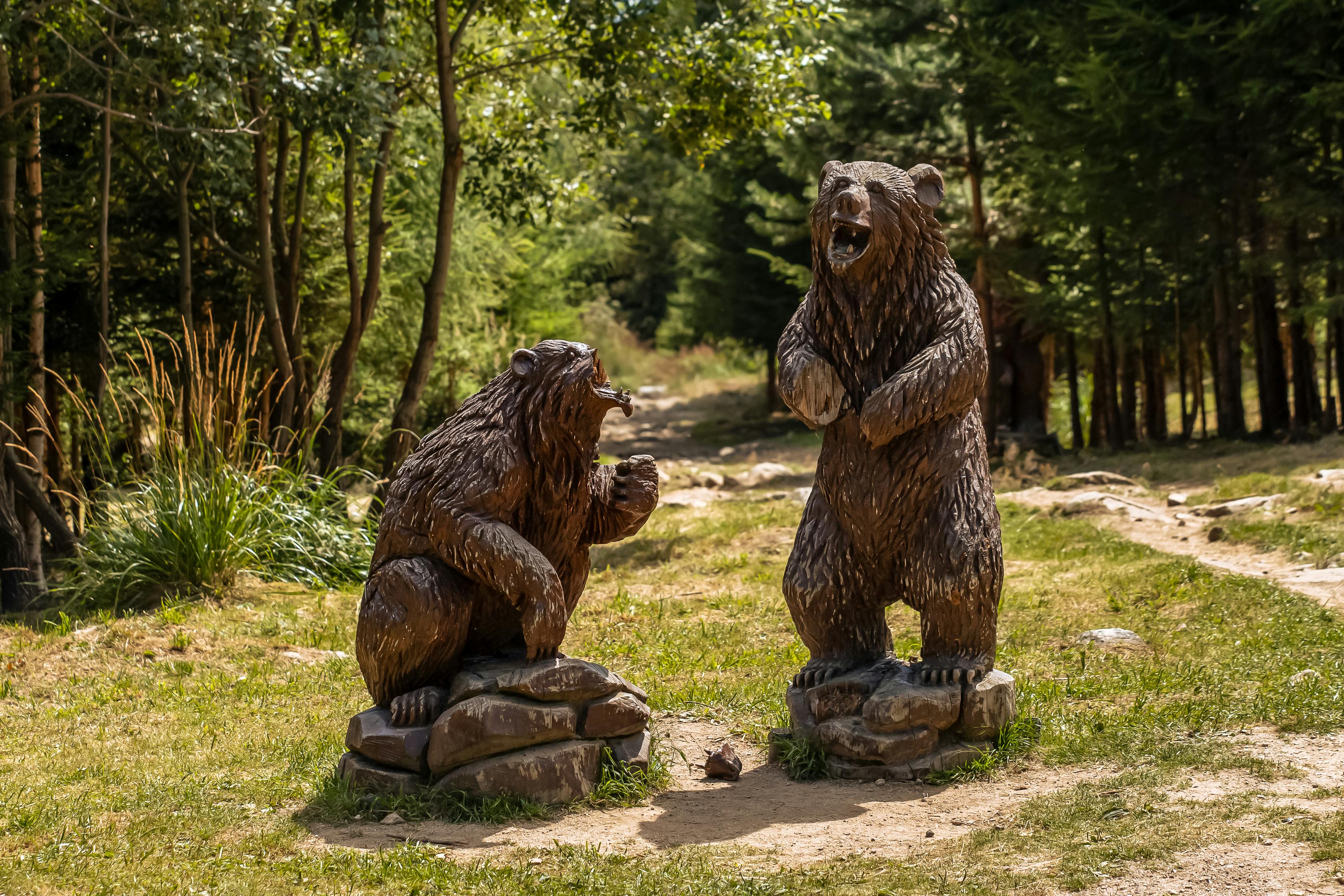 Bear Statues Photos, Download The BEST Free Bear Statues Stock Photos ...