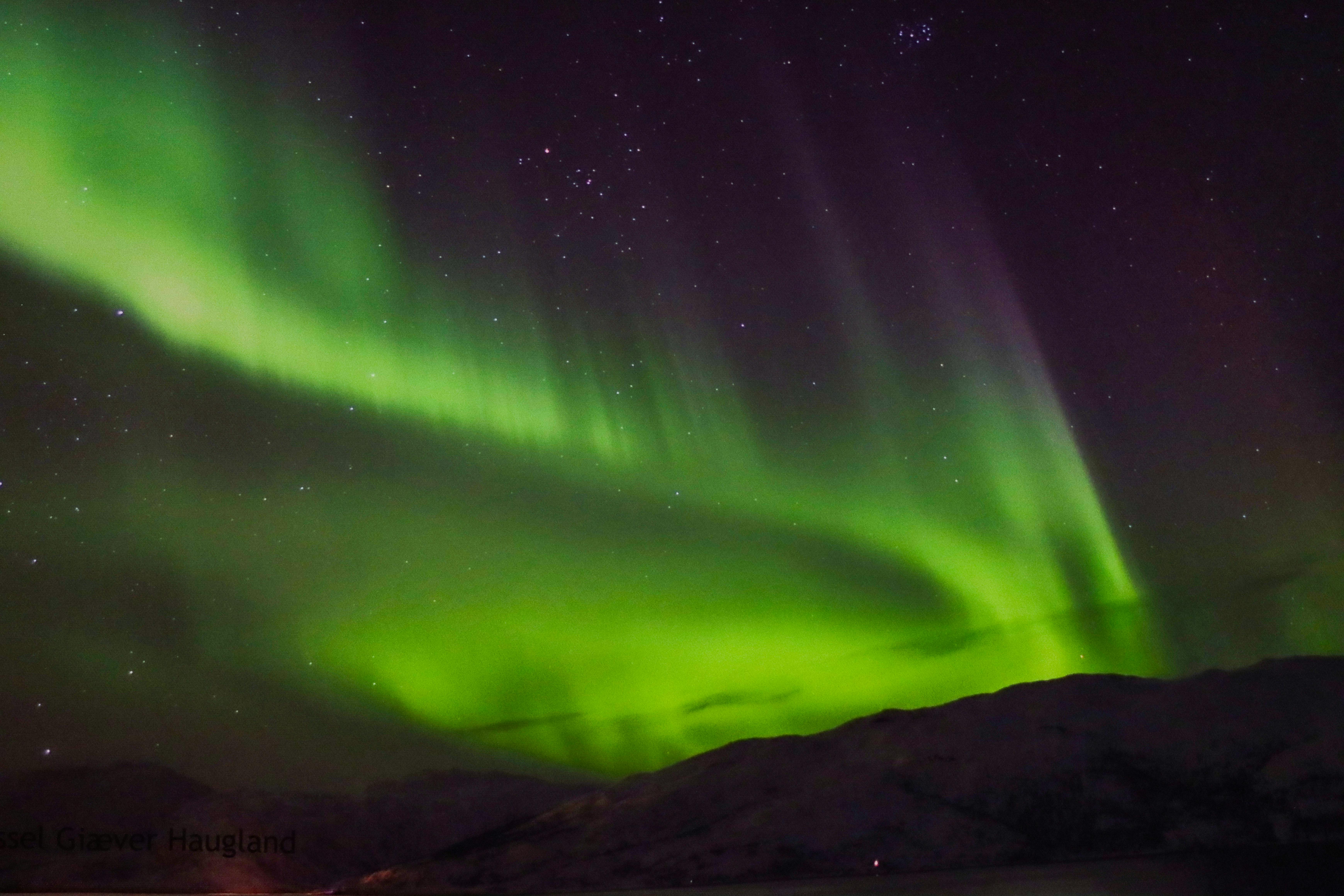 Enchanting Northern Lights Over Tromsø Night Sky · Free Stock Photo