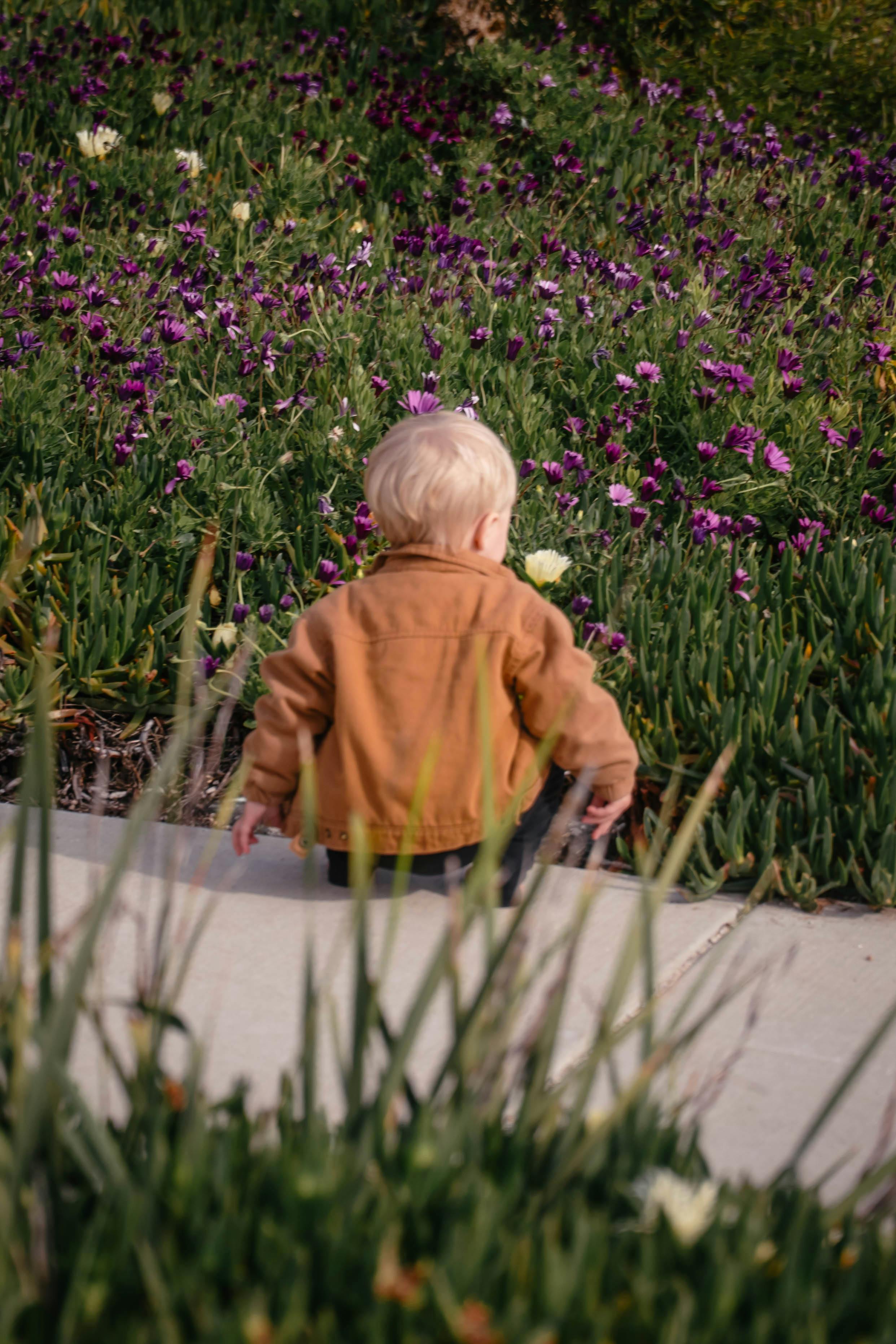 James Collington - 摄影