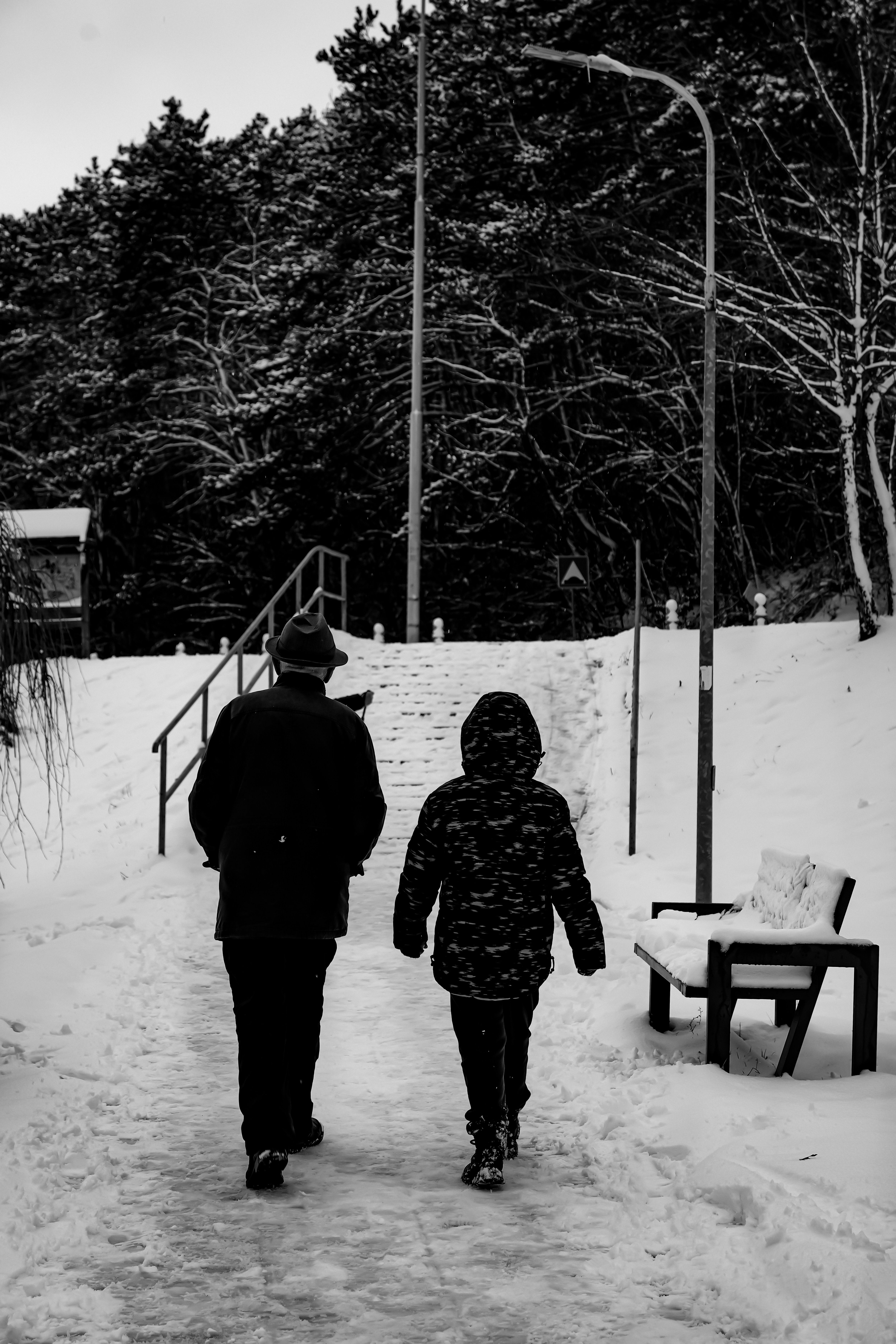 Winter Walk in Pristina's Snowy Landscape · Free Stock Photo