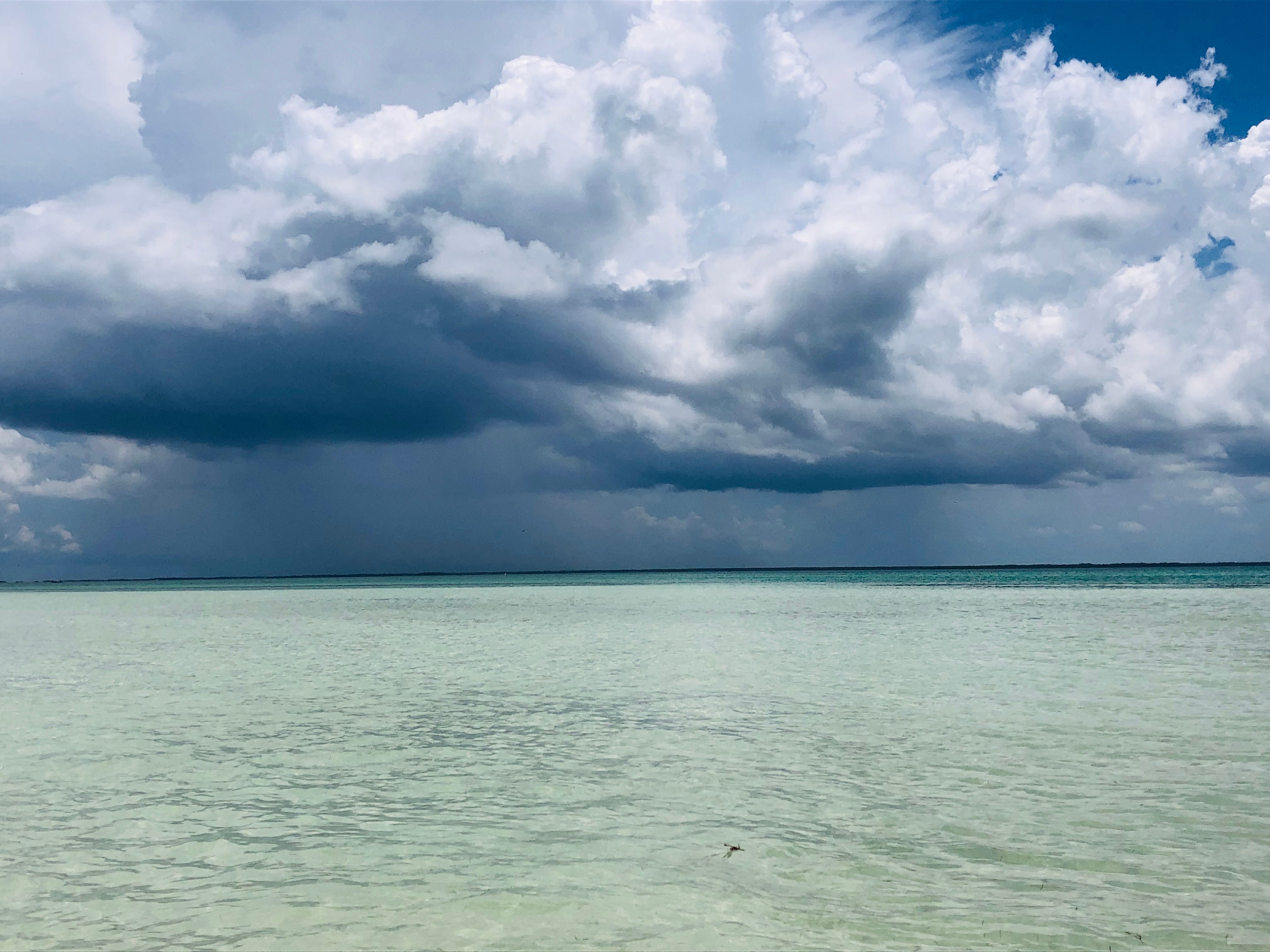 10.000+ Fotos y Imágenes de Desktop backgrounds holbox Gratis · Banco ...