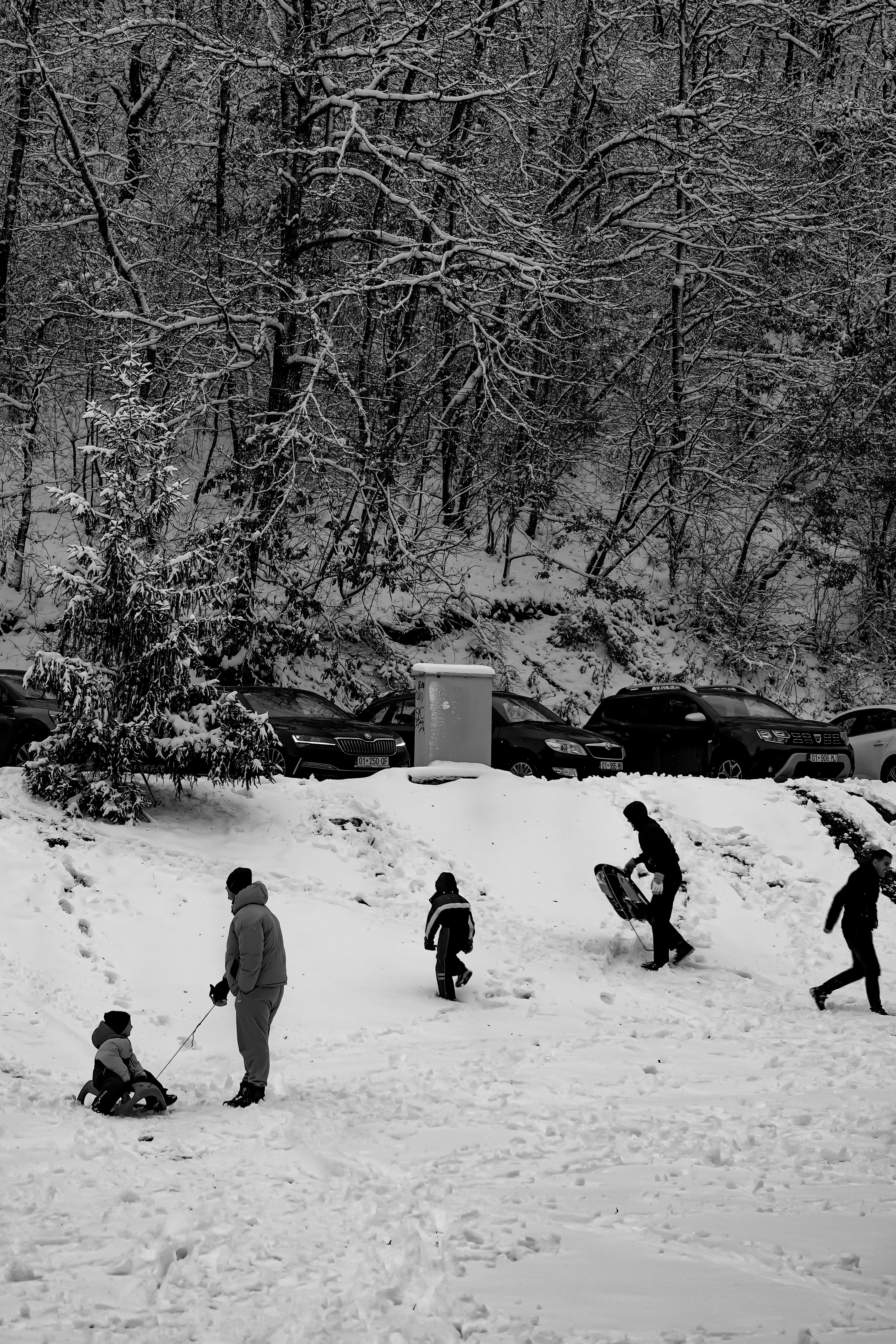 Winterplezier In Het Met Sneeuw Bedekte Landschap Van Pristina · Gratis ...