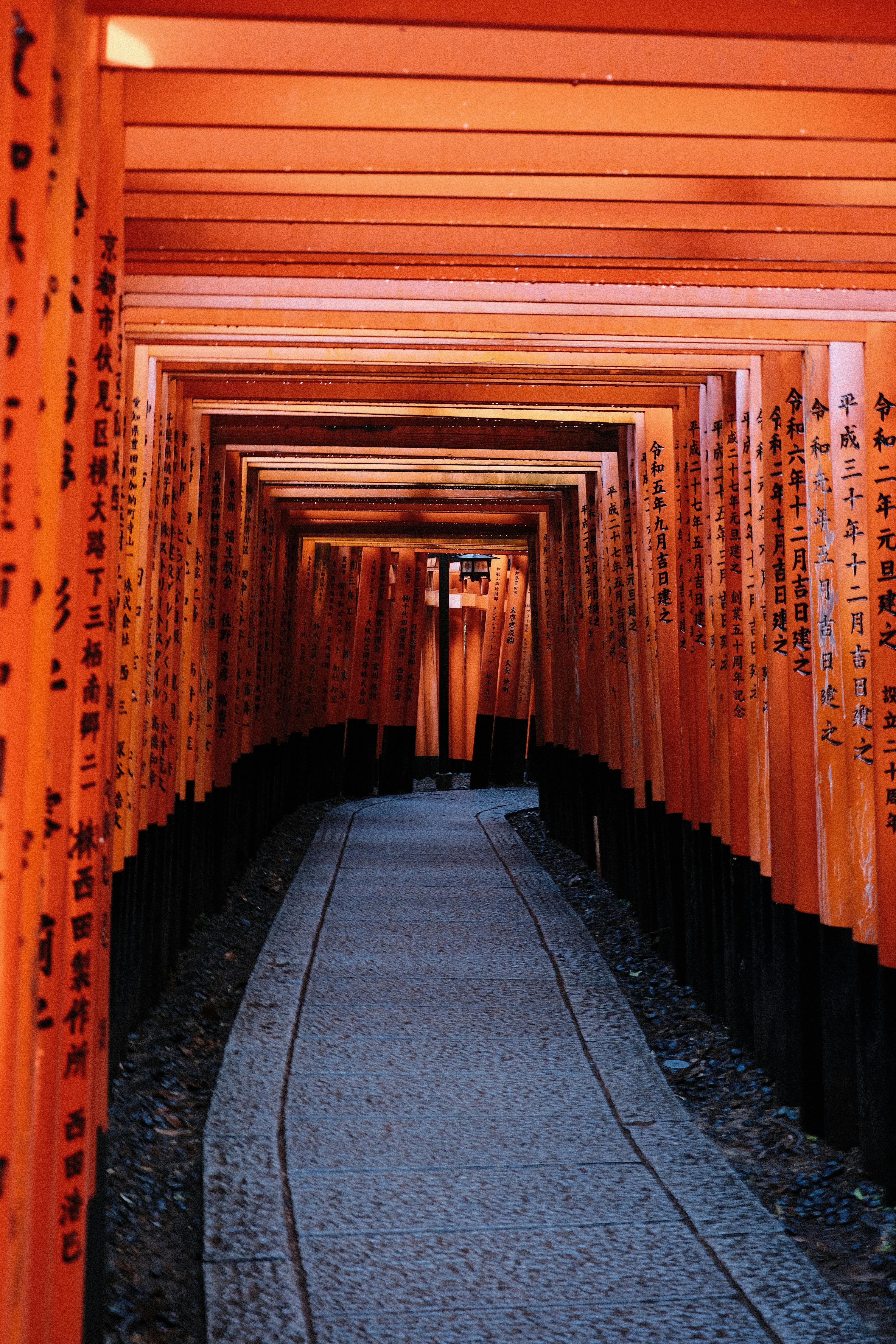 Iconic Torii Gates Pathway at Fushimi Inari Shrine · Free Stock Photo