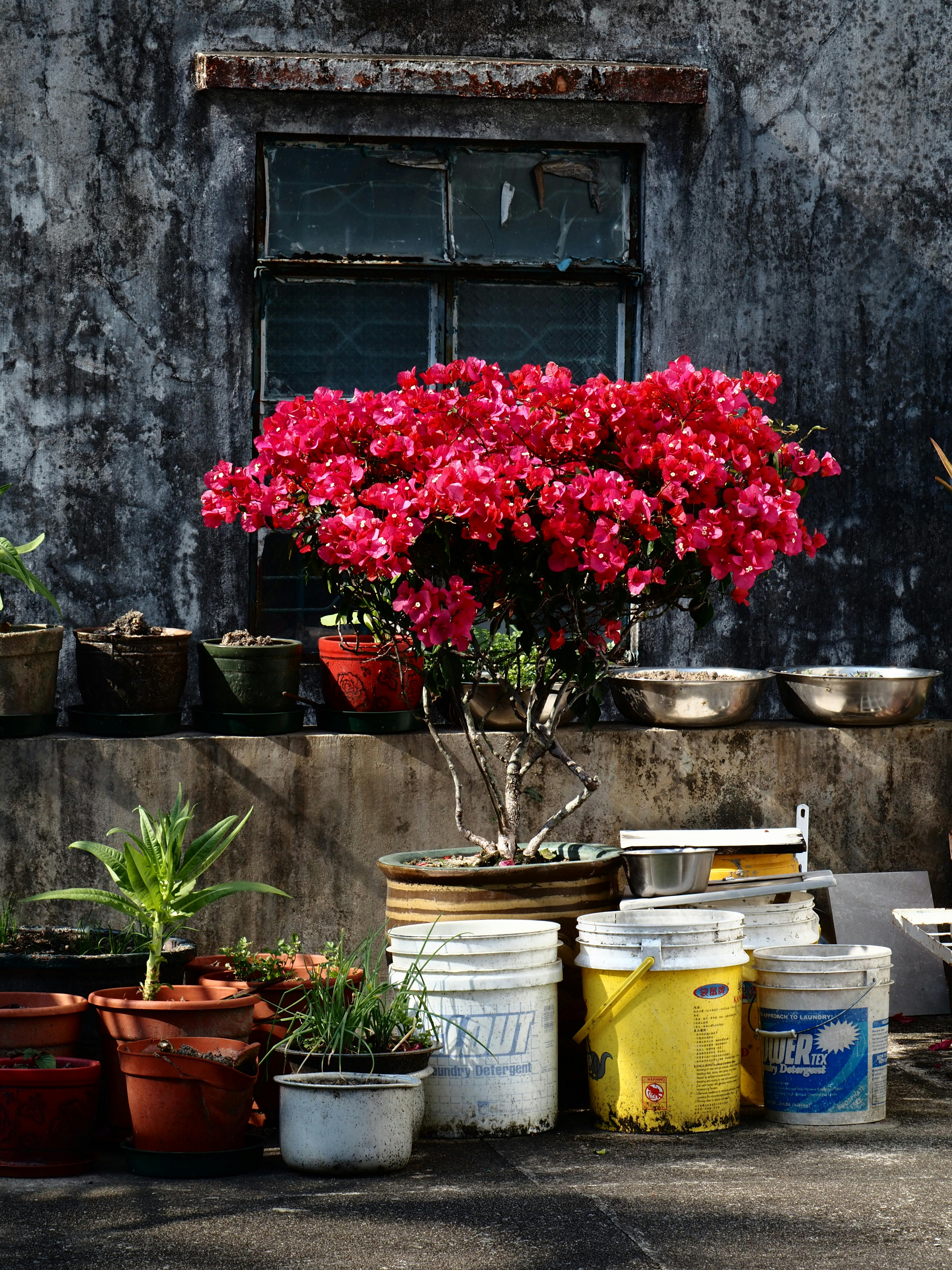 Chenyu Lin - Photography