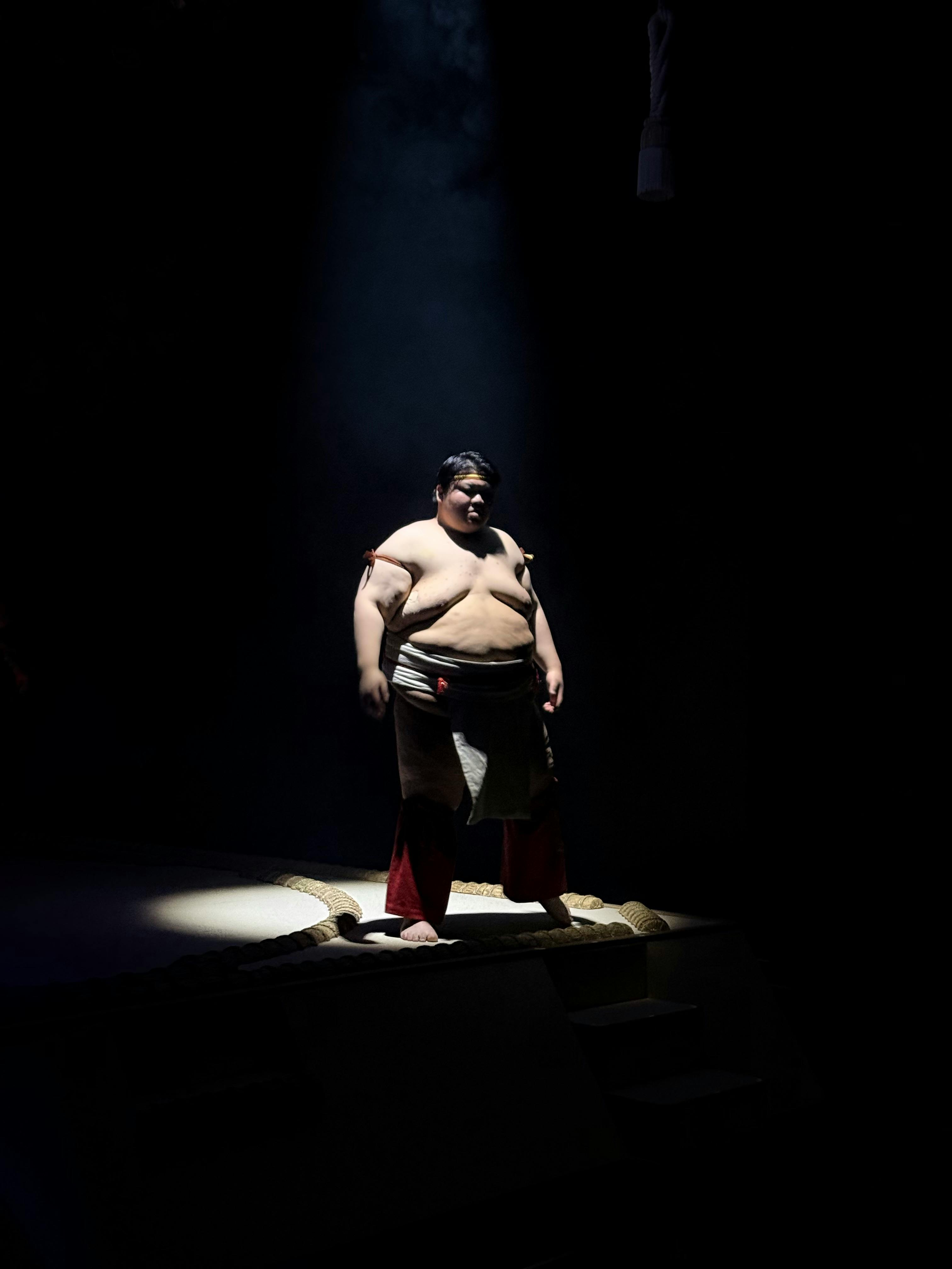 Dramatic Portrait of a Sumo Wrestler · Free Stock Photo