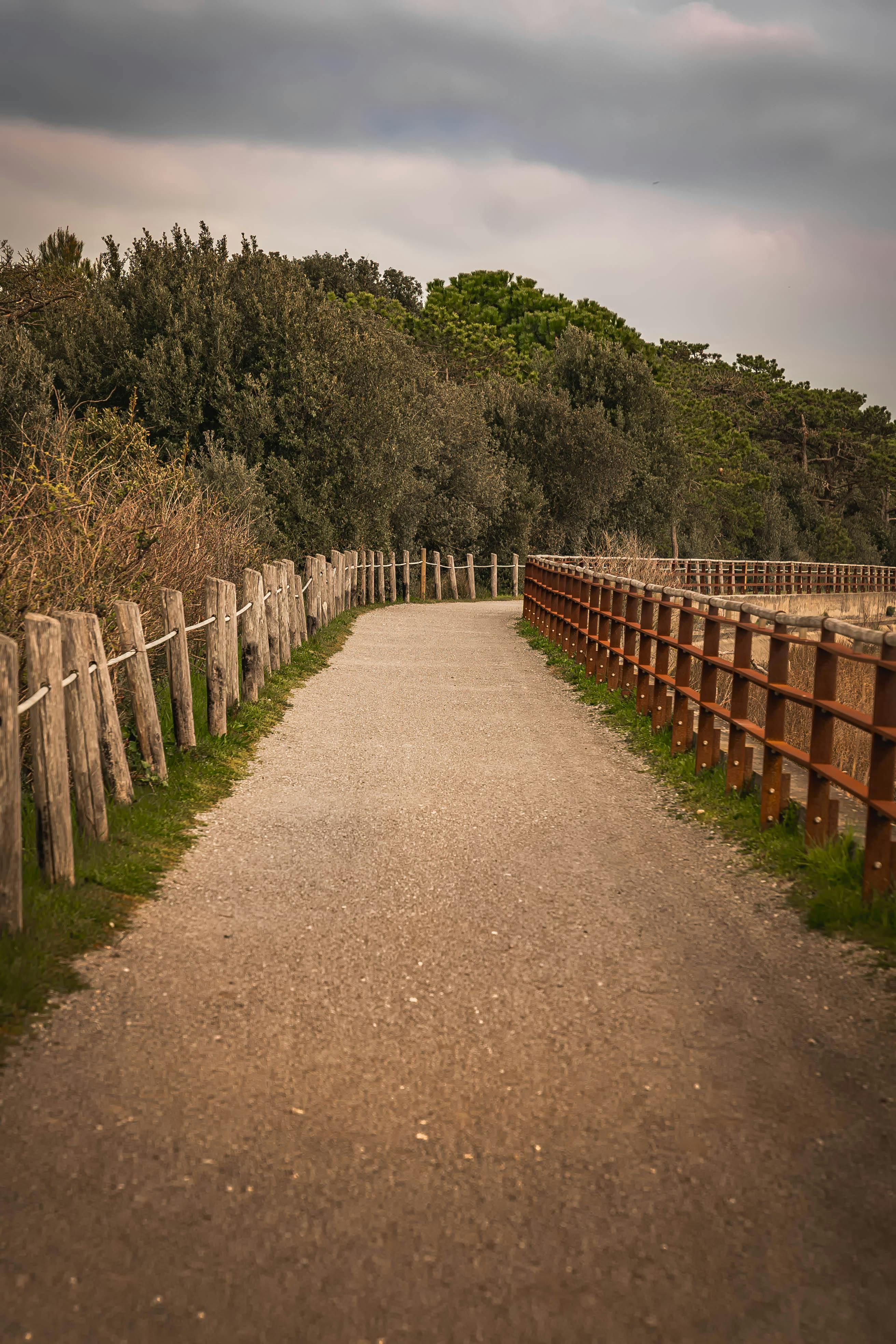 Rustic Pathway with Wooden Fences in Nature · Free Stock Photo