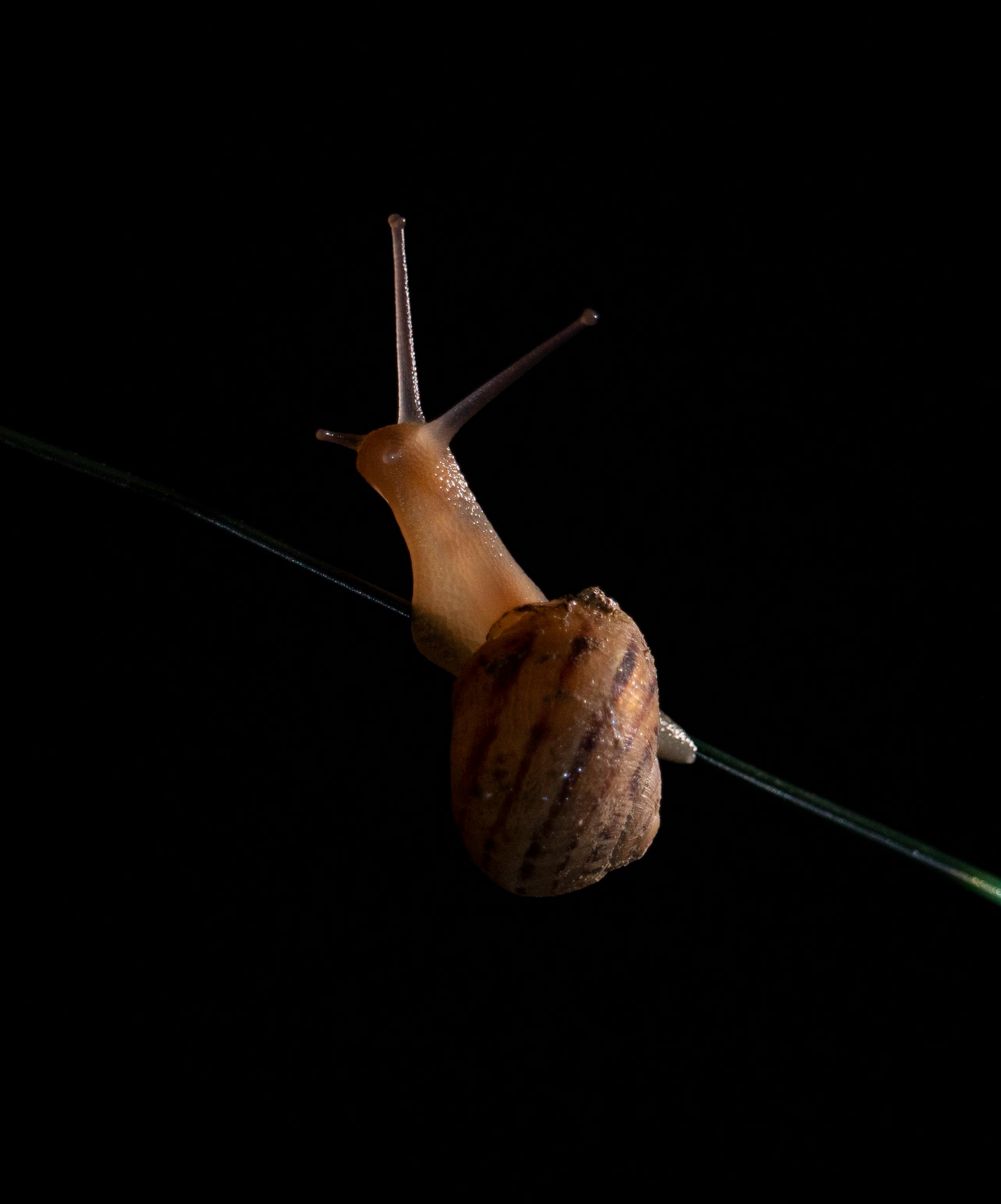 Preppy Background Photos, Download The BEST Free Preppy Background ...