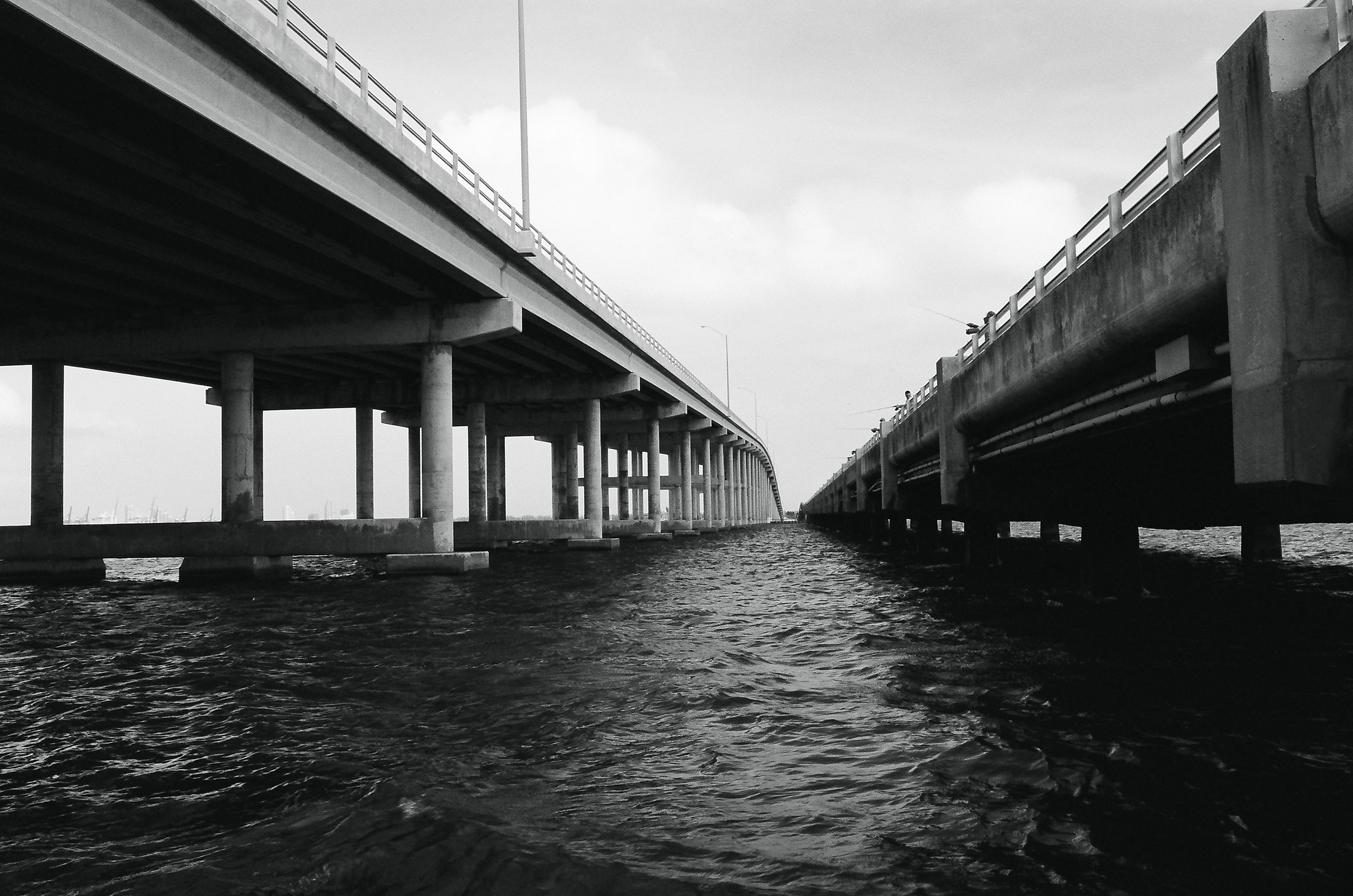 Dramatic Black and White View Under Miami Bridge · Free Stock Photo