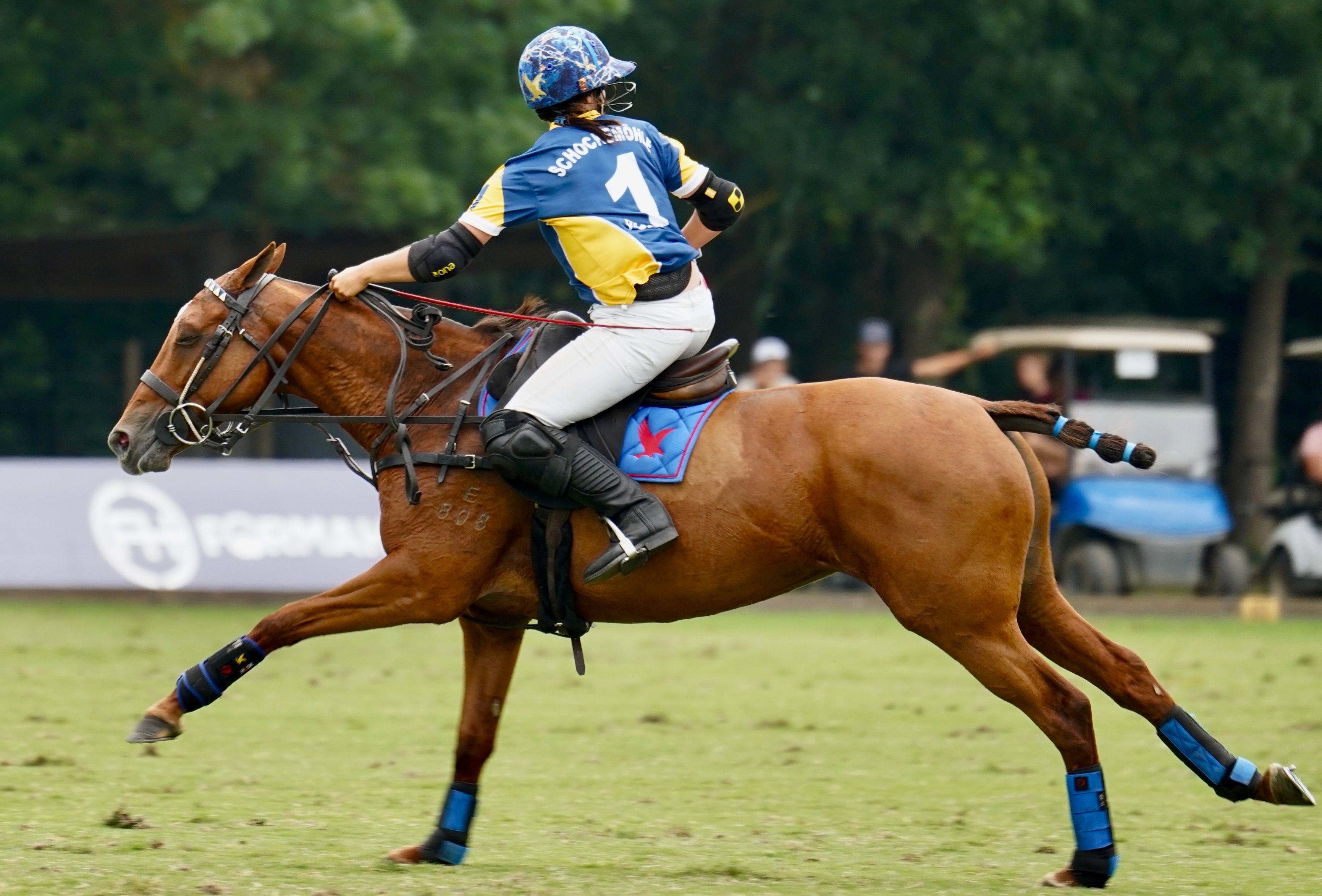 Exciting Polo Match Action on the Field · Free Stock Photo