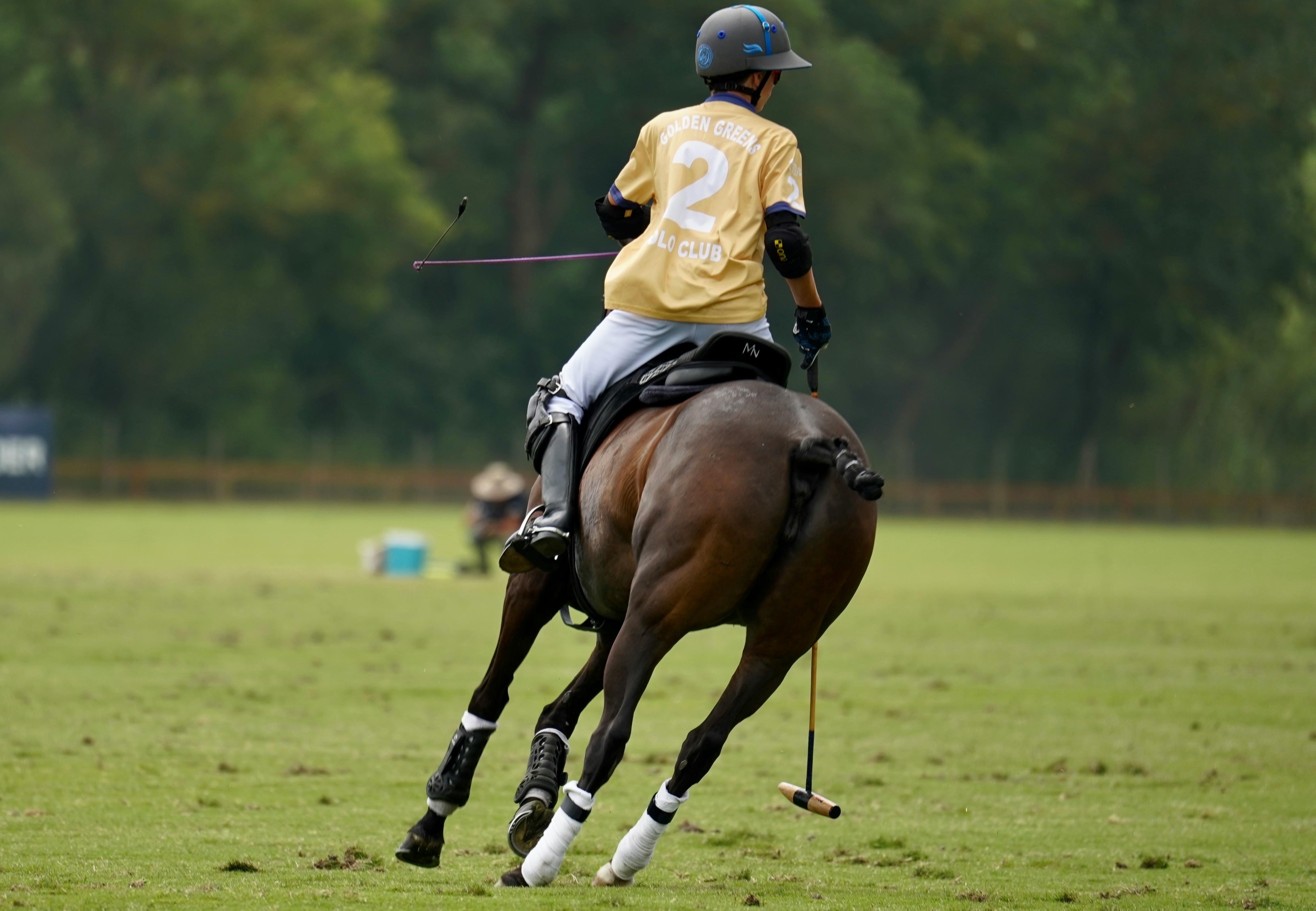 Action-Packed Polo Match with Skilled Rider · Free Stock Photo