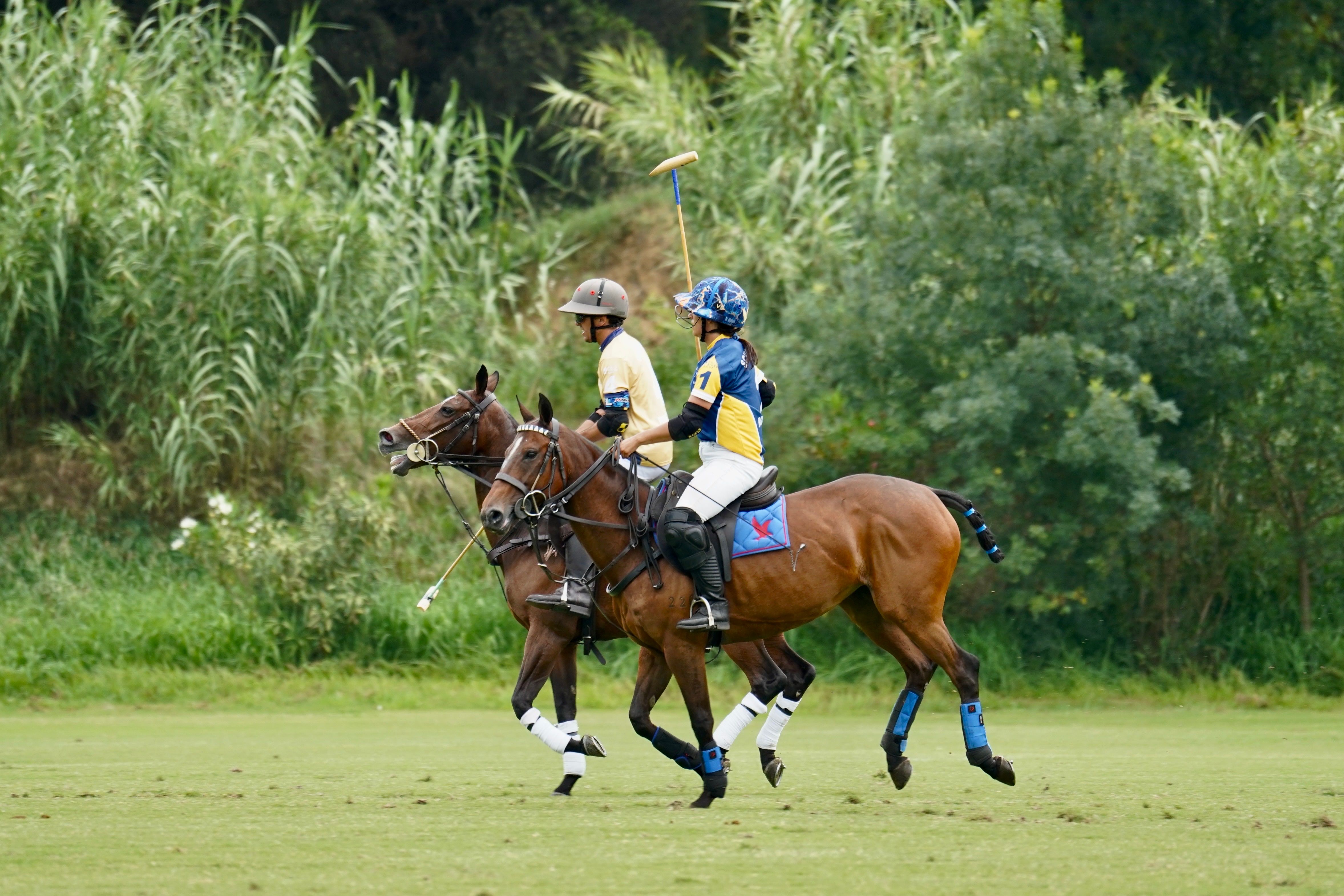 Dynamic Polo Match Action Scene · Free Stock Photo