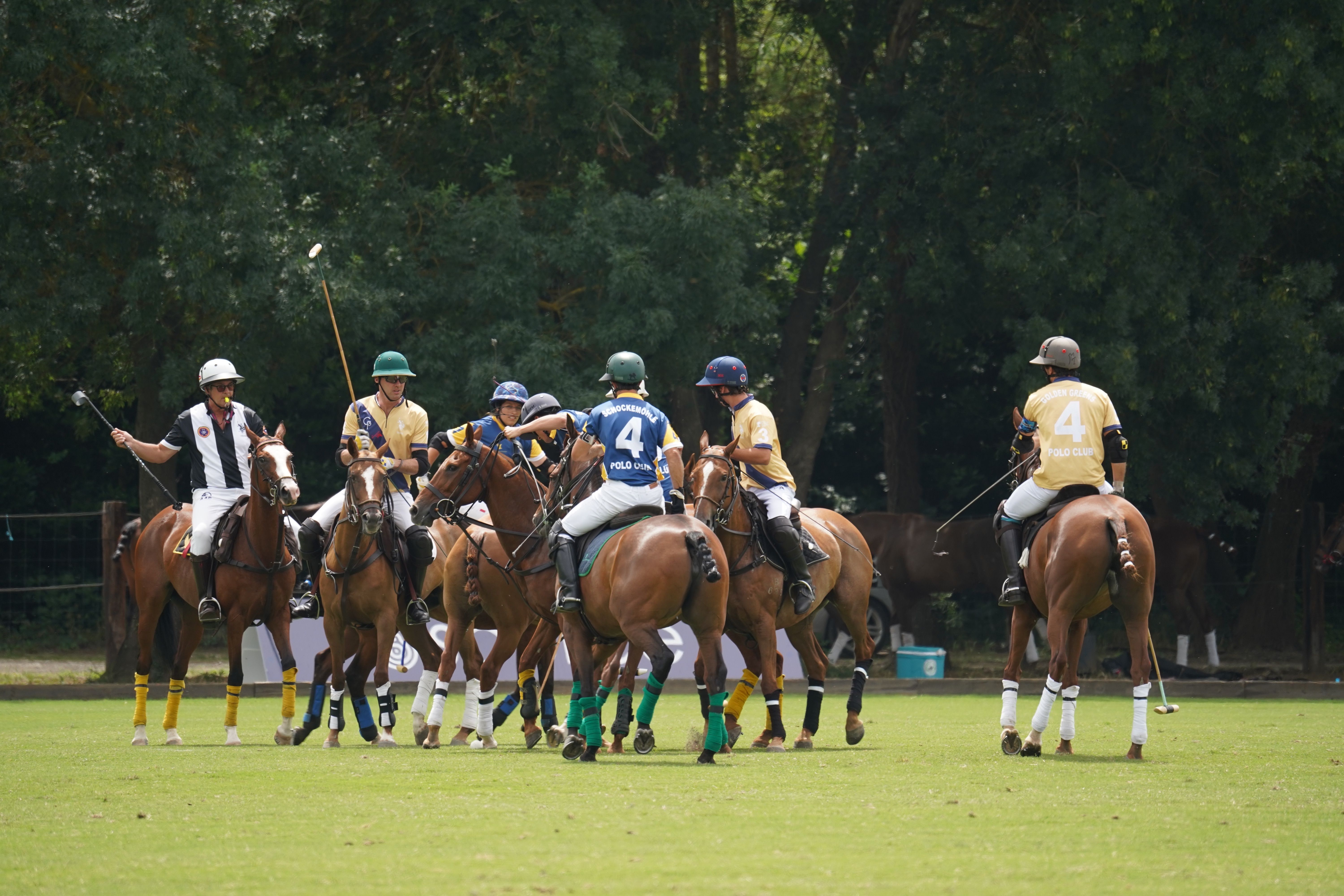 Exciting Polo Match on a Sunny Day · Free Stock Photo