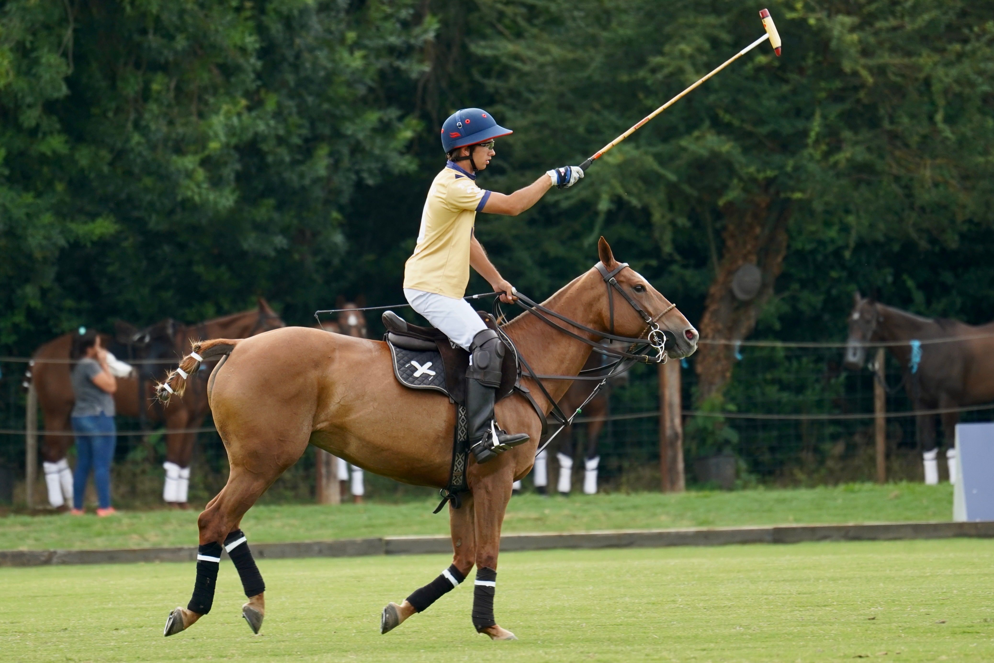 Polo Player in Action on Field · Free Stock Photo