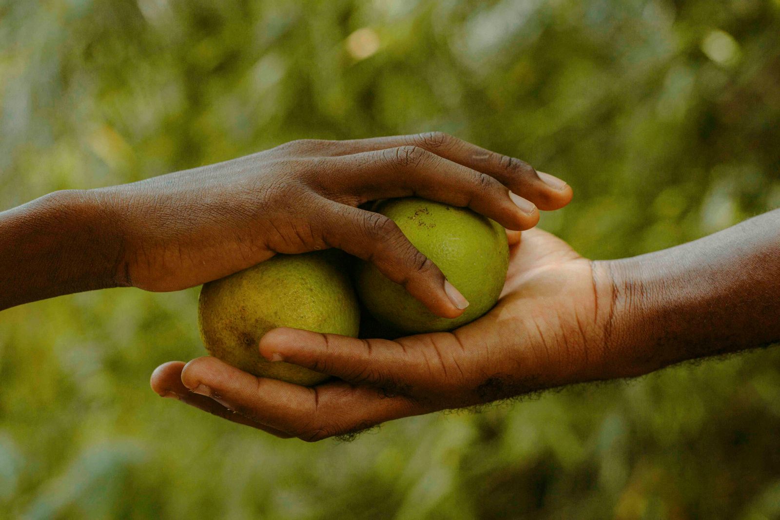 Giving Hands Photos, Download The BEST Free Giving Hands Stock Photos ...