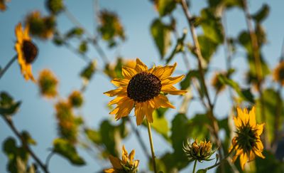 Free No Copyright Images Photos, Download The BEST Free Free No ...