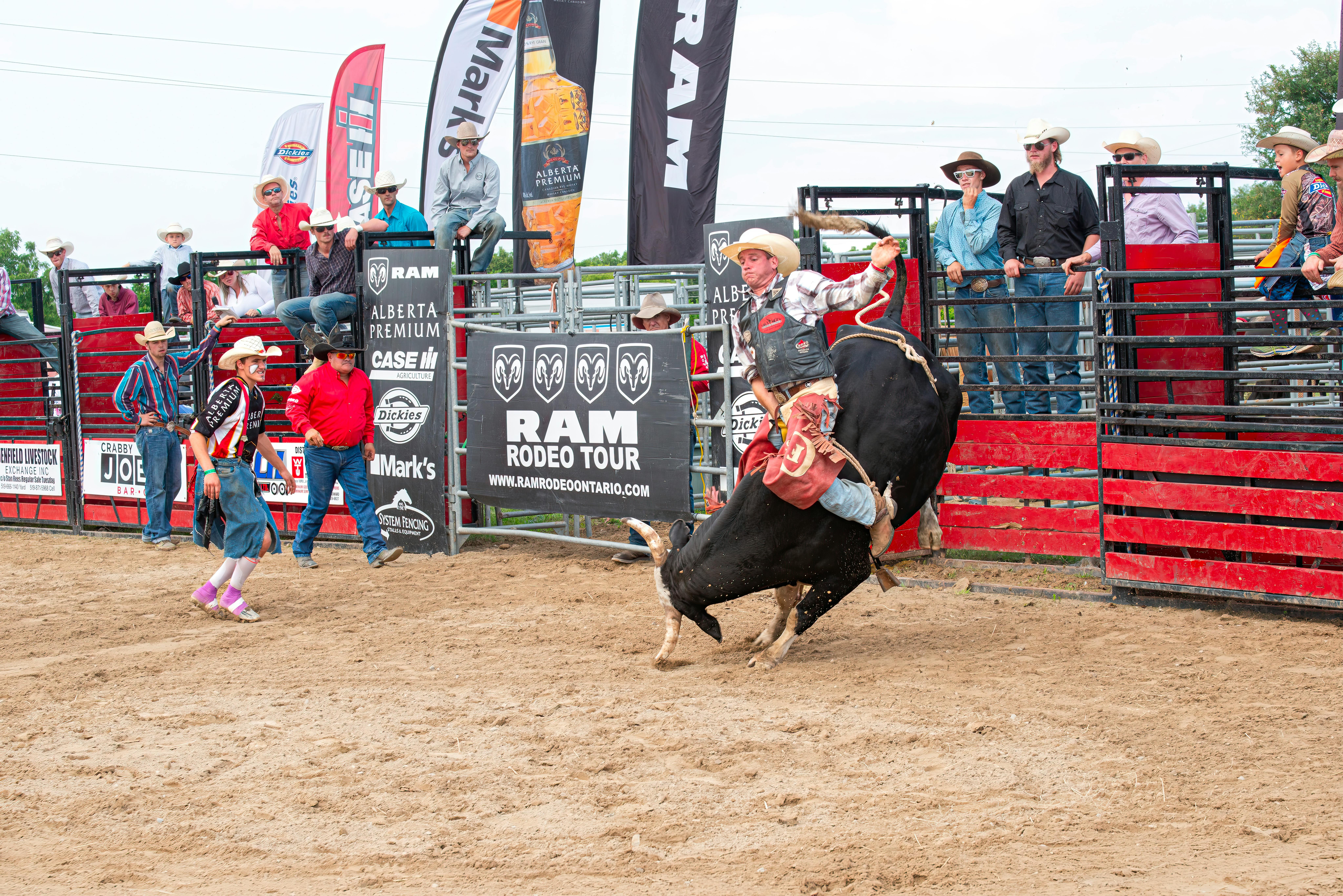 Ação Emocionante De Montaria Em Touro Em Um Evento De Rodeio · Foto ...