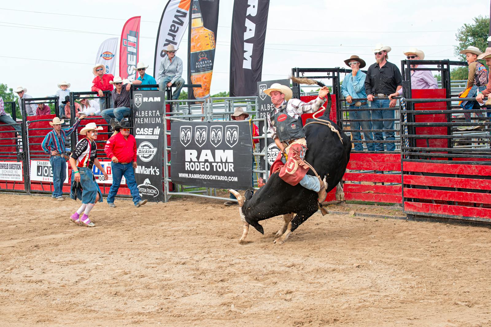 Bull Riding Photos, Download The BEST Free Bull Riding Stock Photos ...