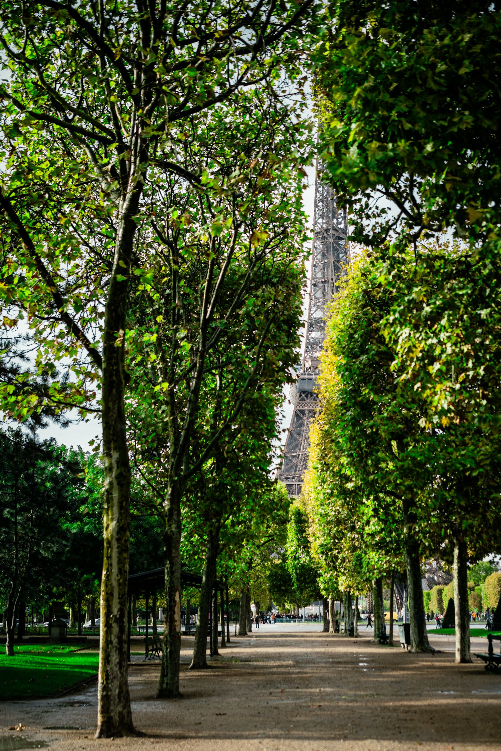 Paris Street Photos, Download The BEST Free Paris Street Stock Photos ...