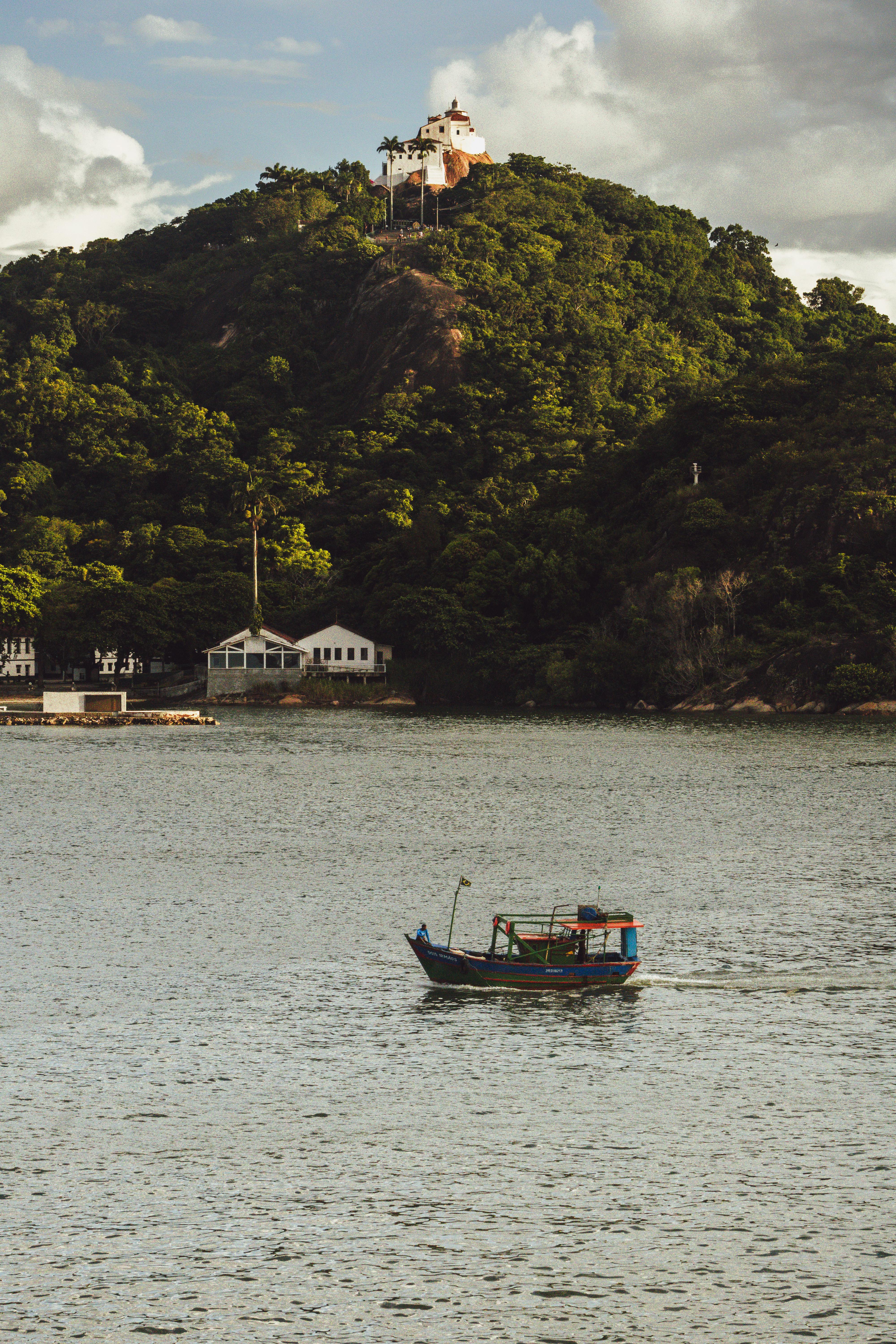 Mount With Tree Photos, Download The BEST Free Mount With Tree Stock ...