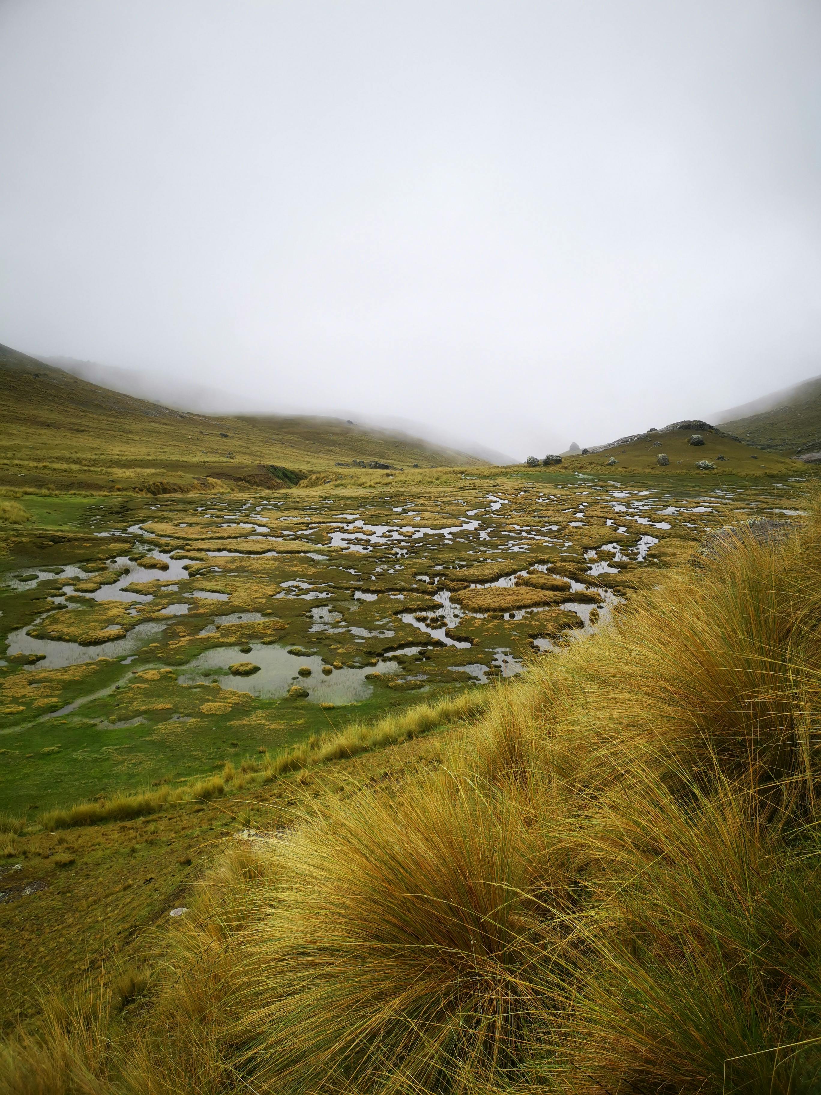 Misty Wetlands in Pomacanchi, Peru · Free Stock Photo