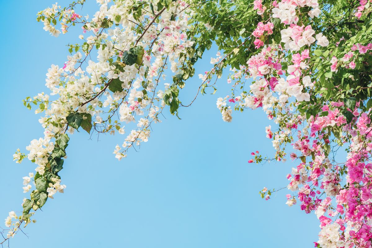 Blue Color Photos, Download The BEST Free Blue Color Stock Photos & HD ...