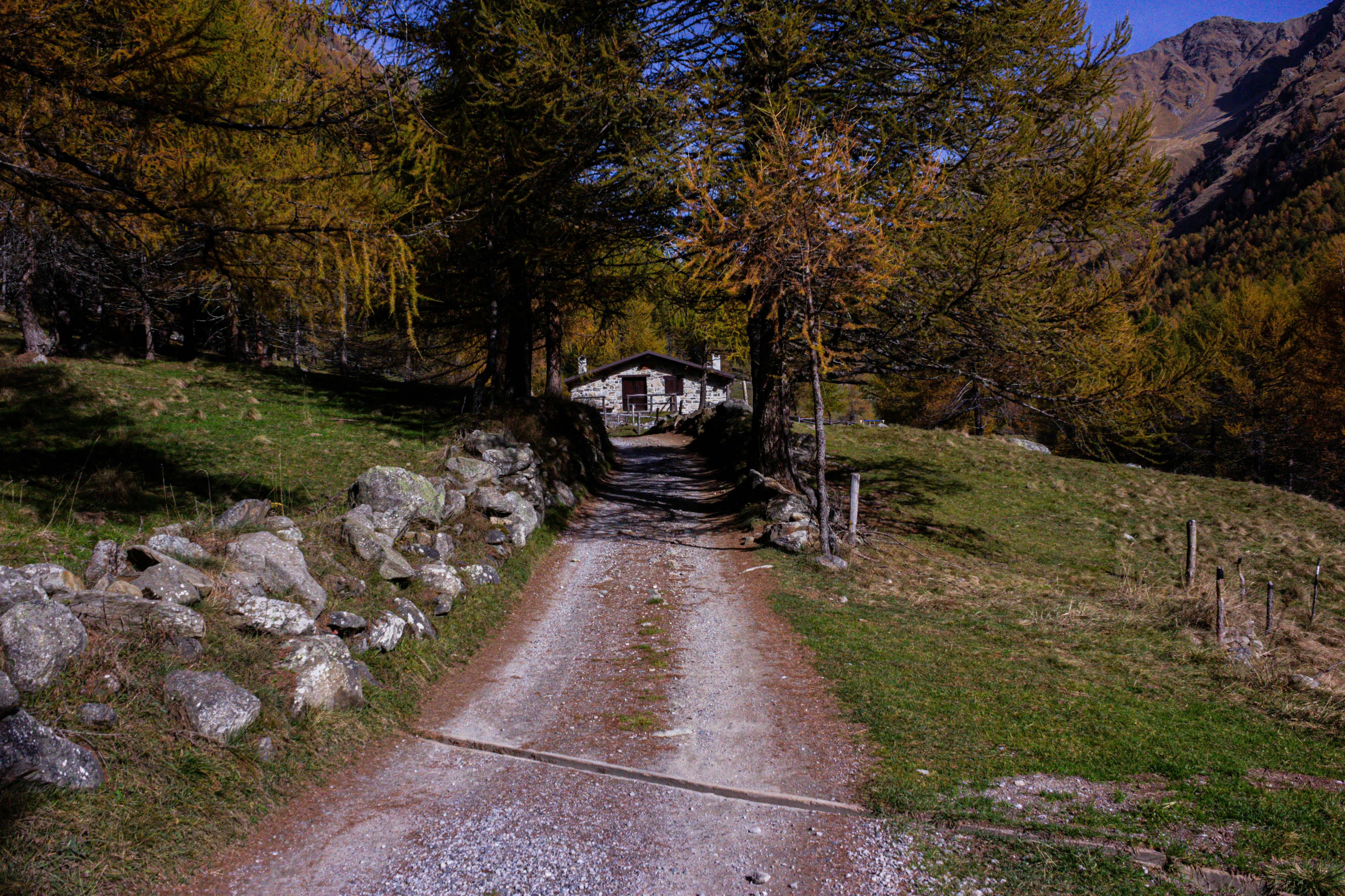 Rustic Mountain Cabin on Secluded Path · Free Stock Photo