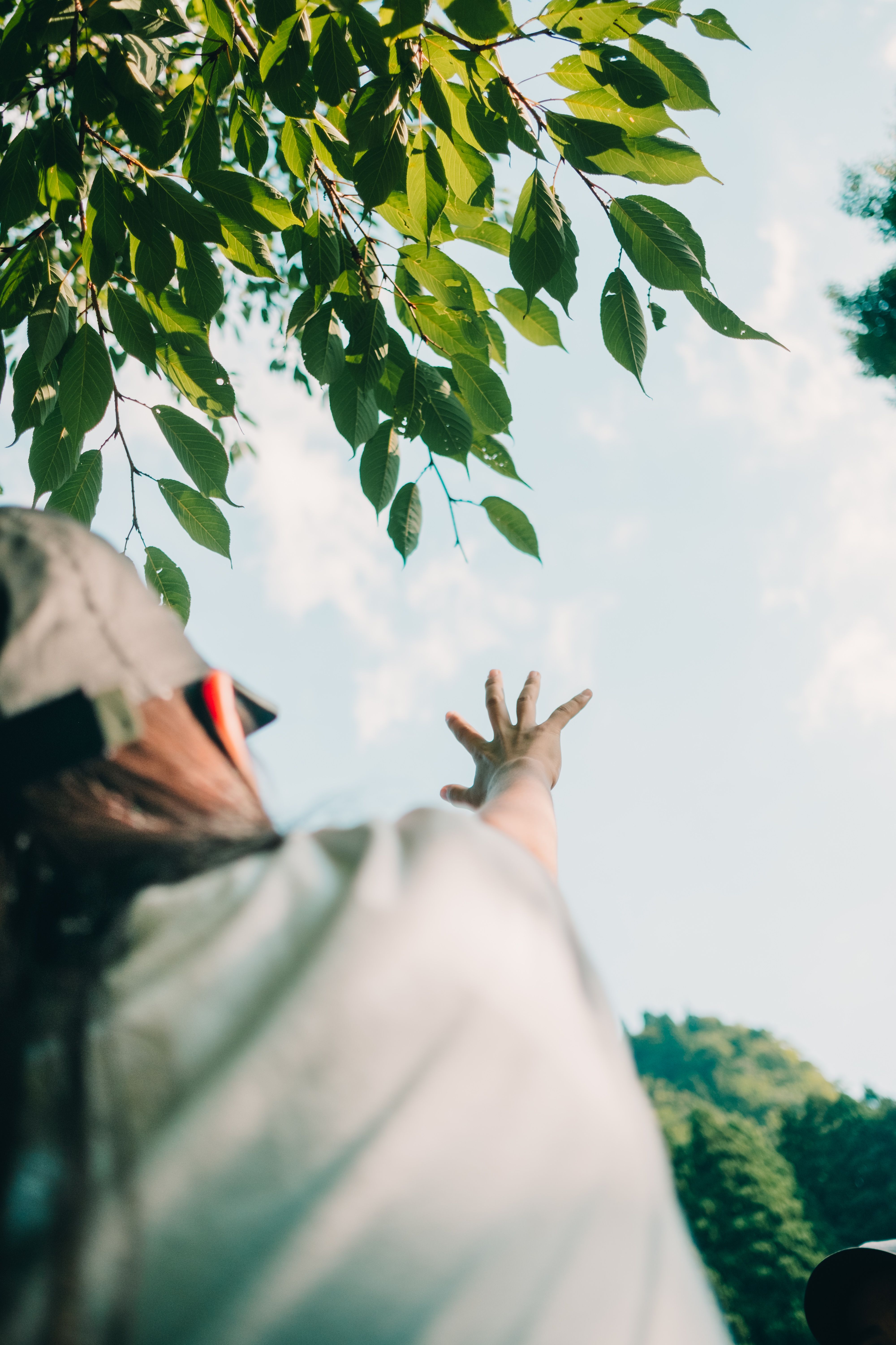 Person Reaching Towards Sky in Nature Setting · Free Stock Photo