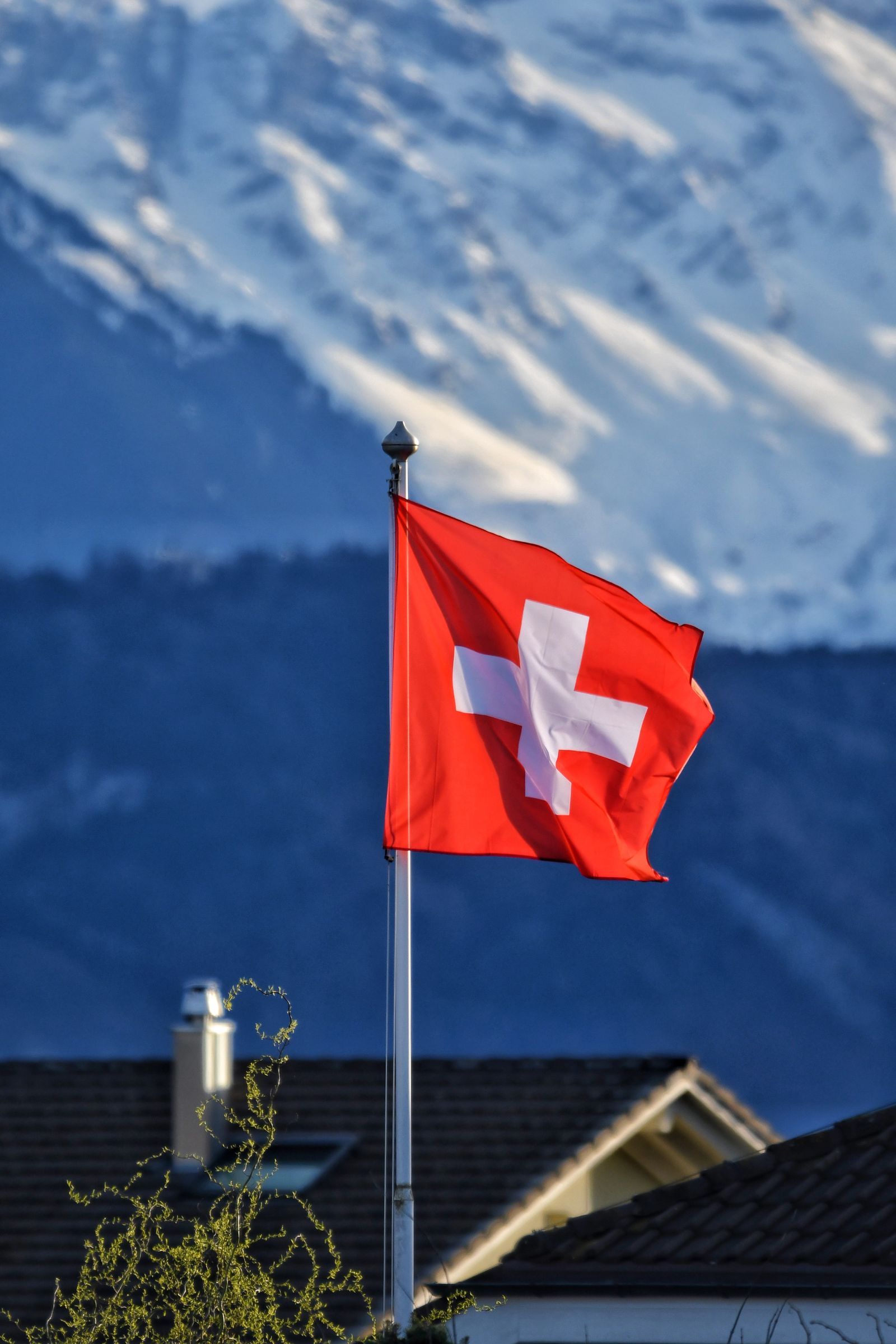Swiss Flag Photos, Download The BEST Free Swiss Flag Stock Photos & HD ...