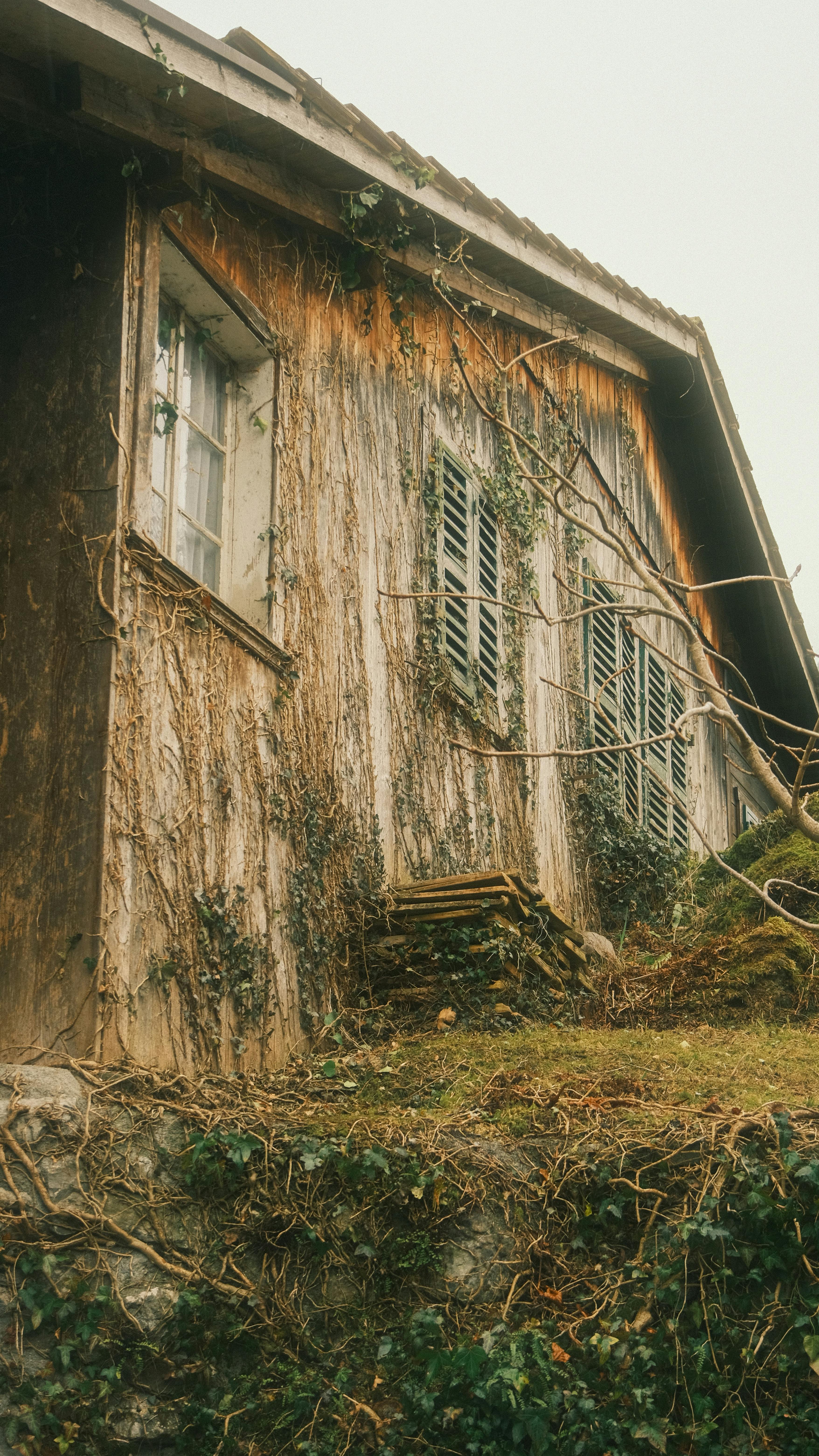 Rustic Wooden Cottage with Ivy in Overcast Setting · Free Stock Photo