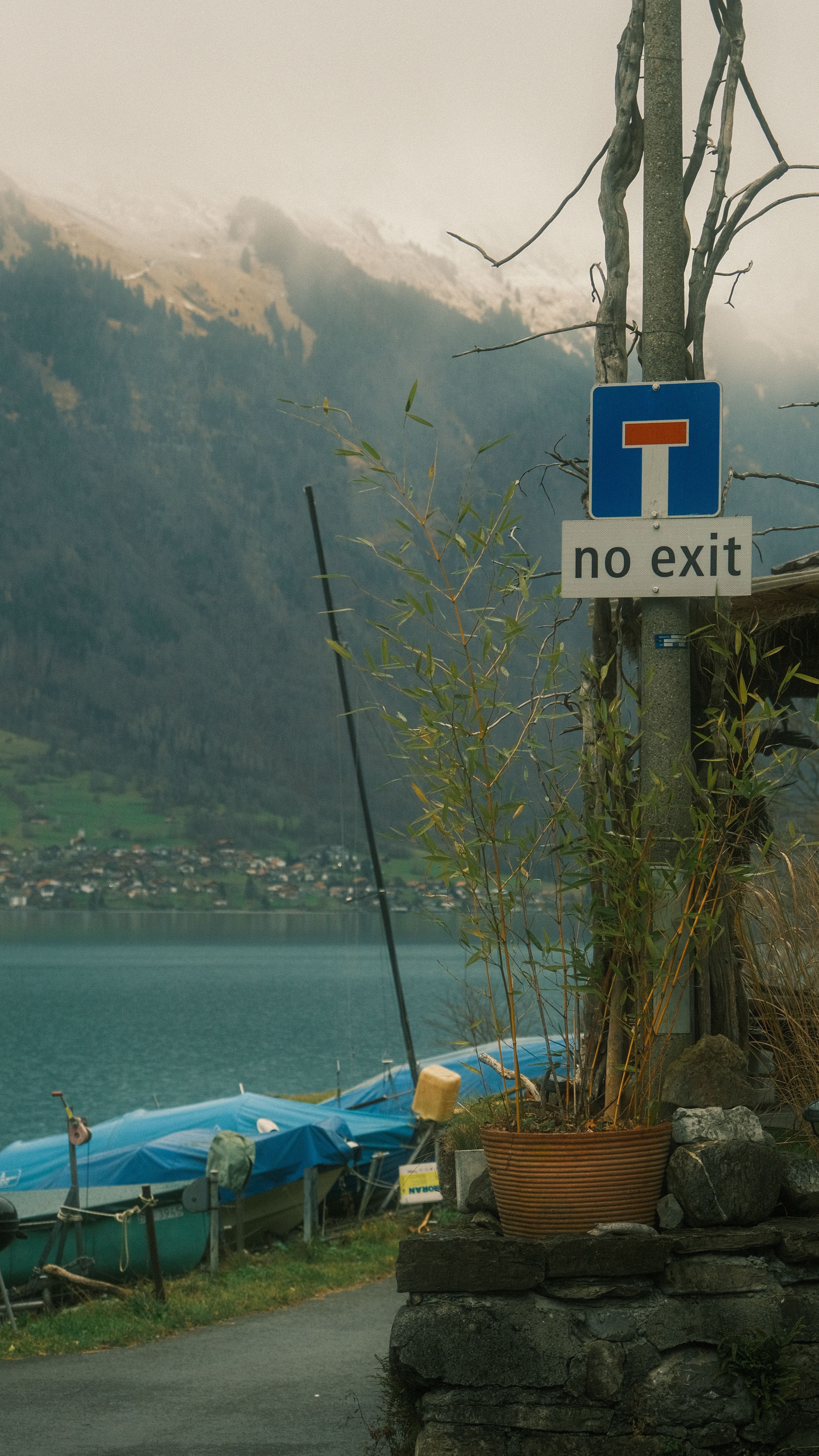 Scenic Lake View with No Exit Road Sign · Free Stock Photo