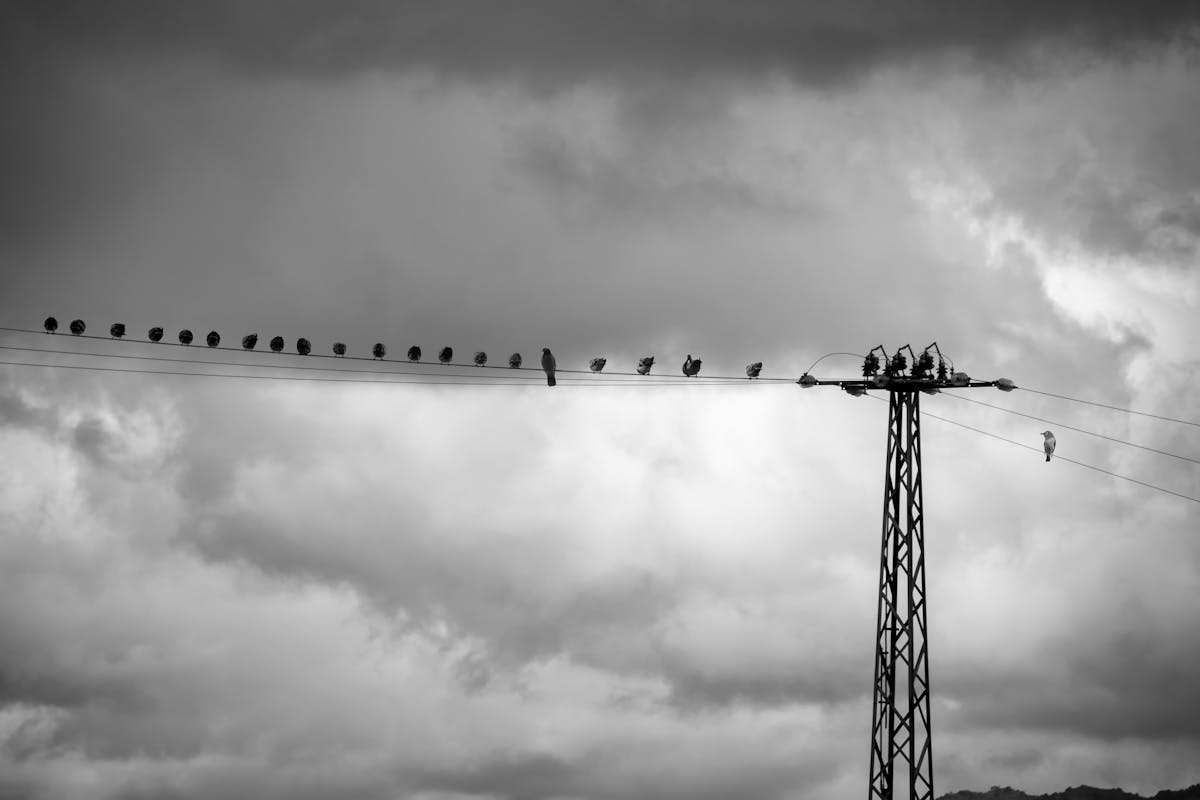 Powerline Inspections Photos, Download The BEST Free Powerline ...