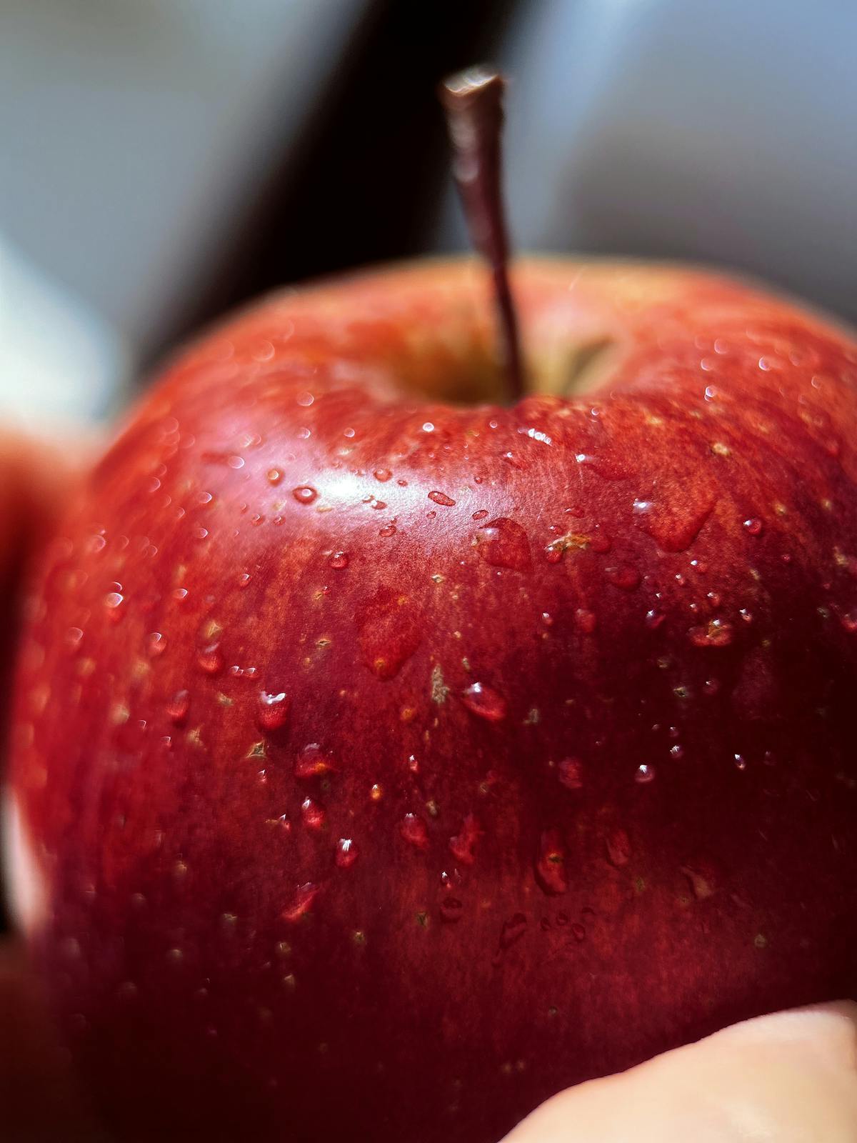 Apple Fruit Photos, Download The BEST Free Apple Fruit Stock Photos ...