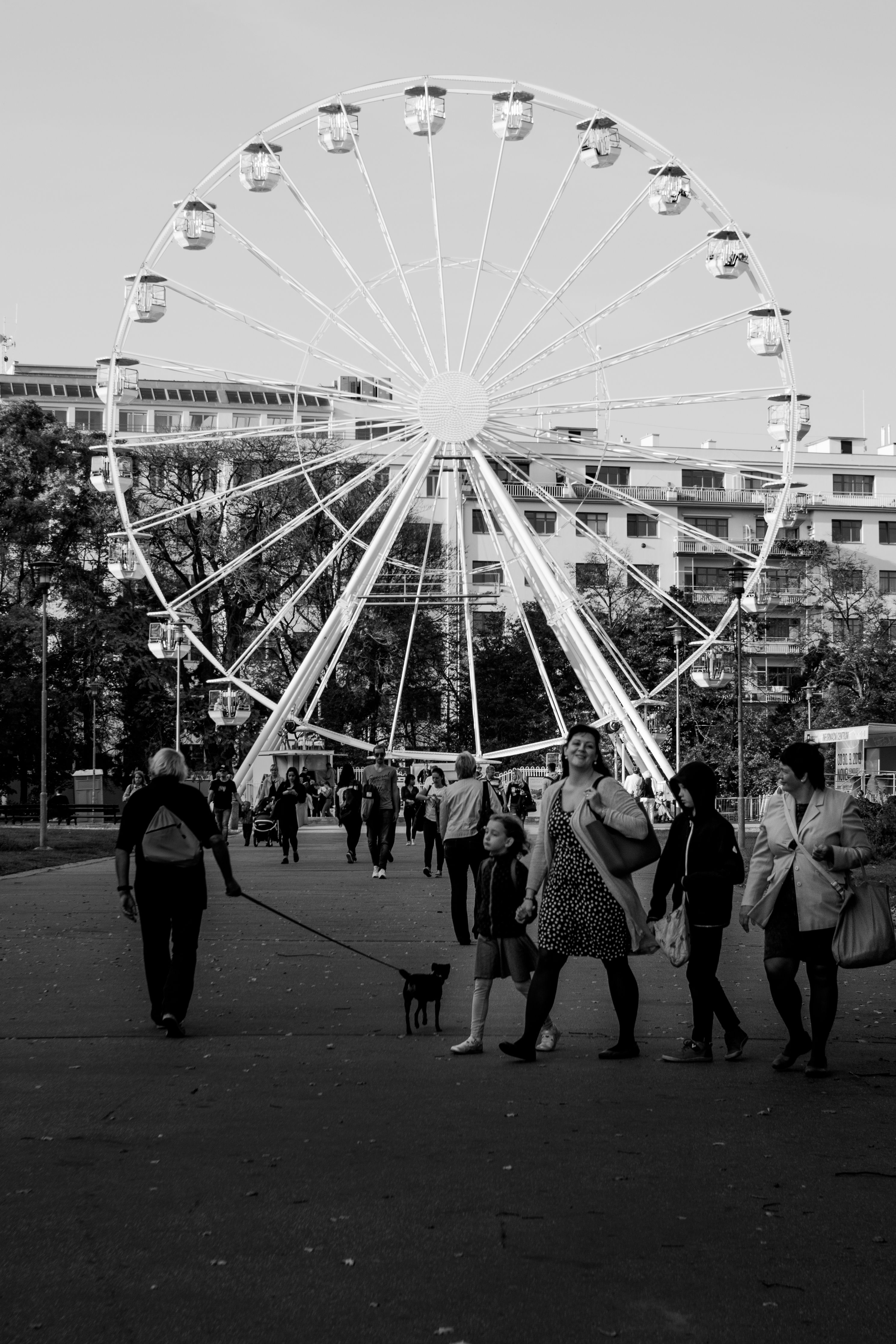 Woman Facing Ferris Wheel While Making Heart Hand Sign · Free Stock Photo