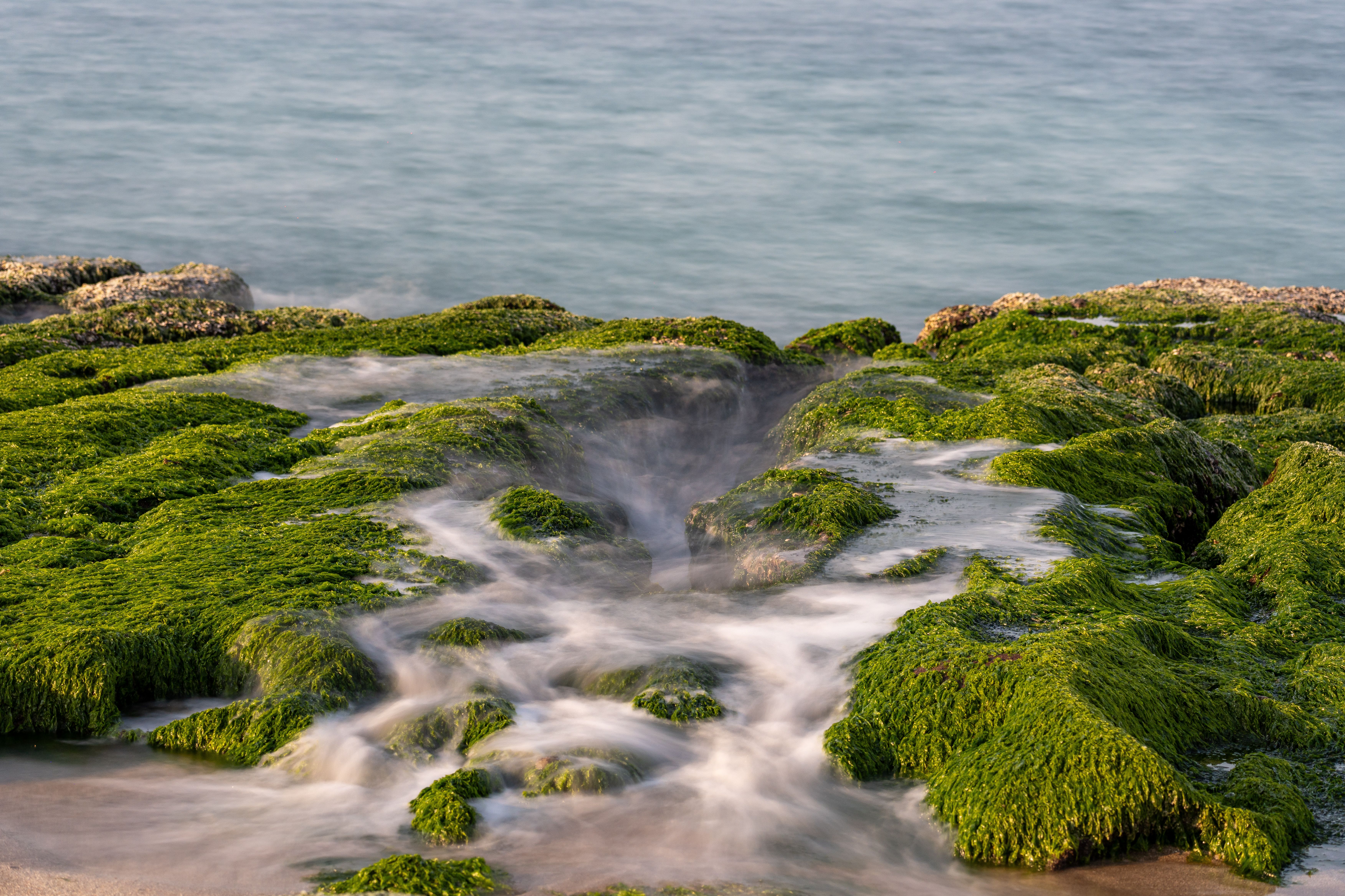 Moss-Covered Rocks with Water Flowing at Beach · Free Stock Photo