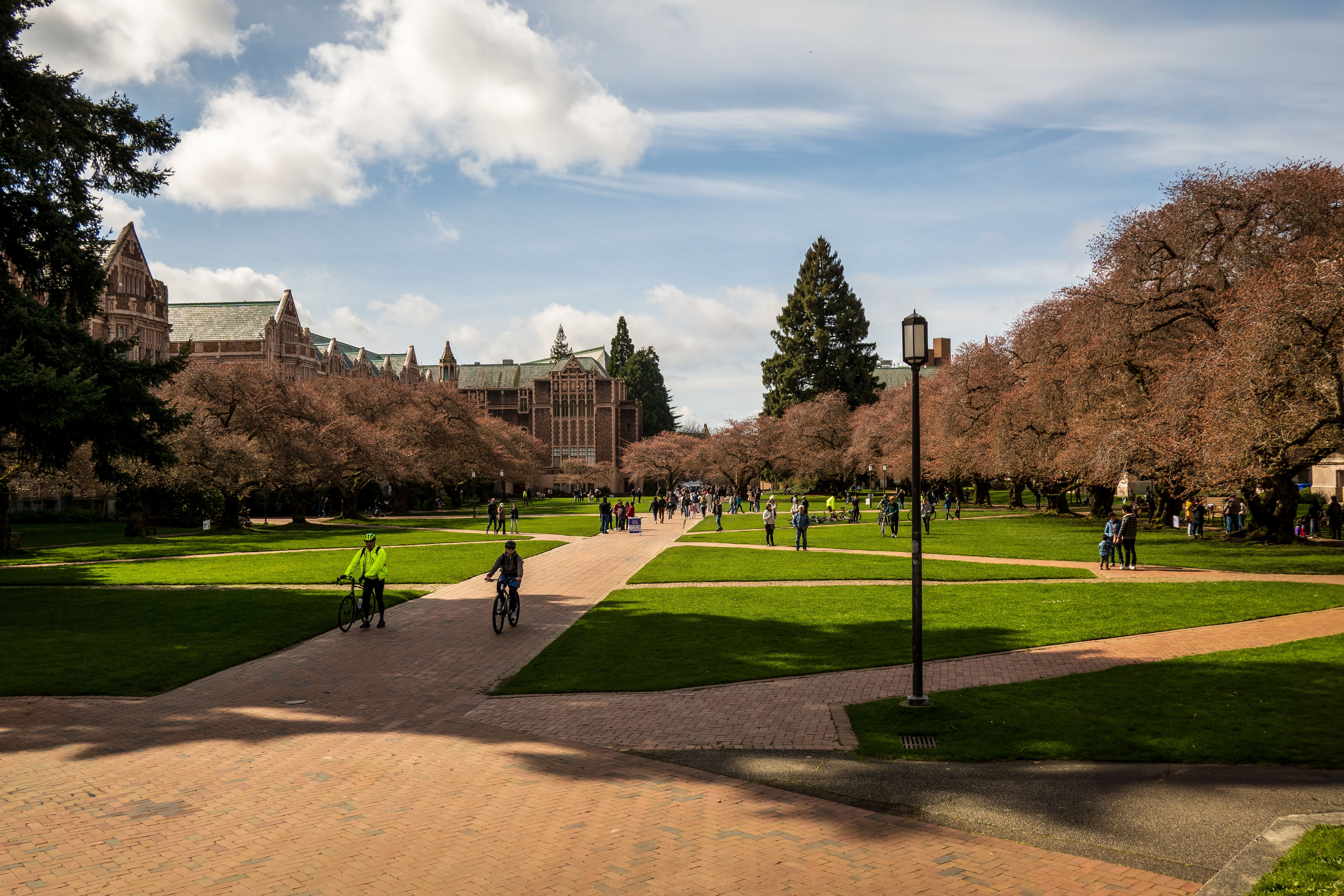 Spring Day at University of Washington Campus · Free Stock Photo