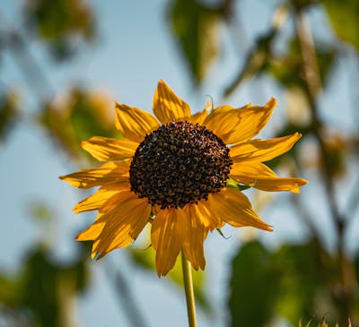 Free Photos Photos, Download The BEST Free Free Photos Stock Photos ...