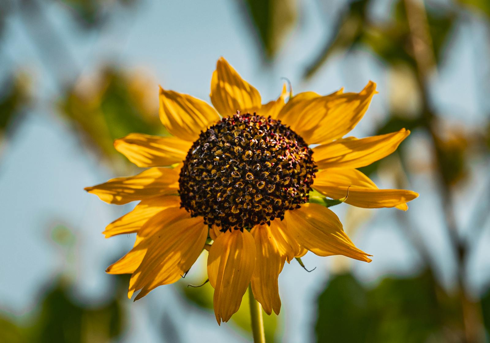 Free Photos Of Hello Monday Photos, Download The BEST Free Free Photos ...