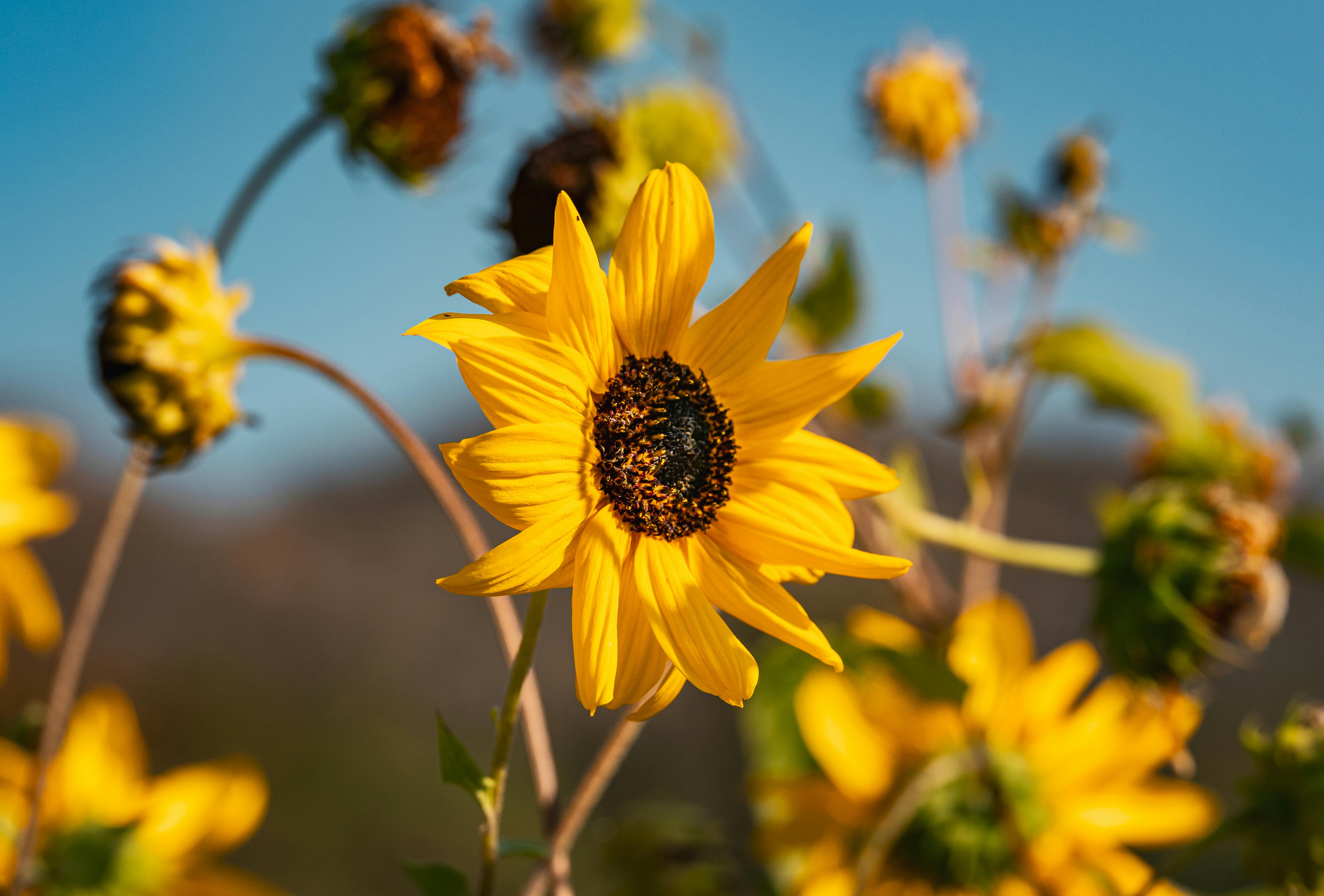 Slideshow Wallpaper Photos, Download The BEST Free Slideshow Wallpaper ...