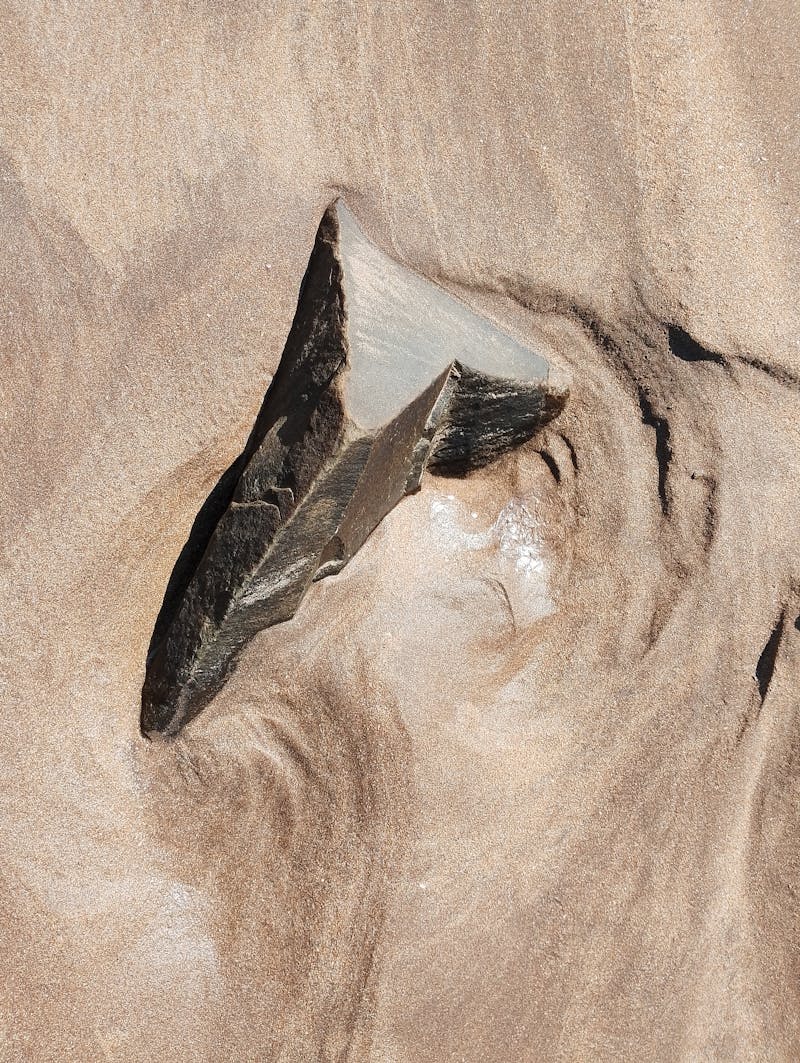 Camel Toe Beach Photos, Download The BEST Free Camel Toe Beach Stock ...