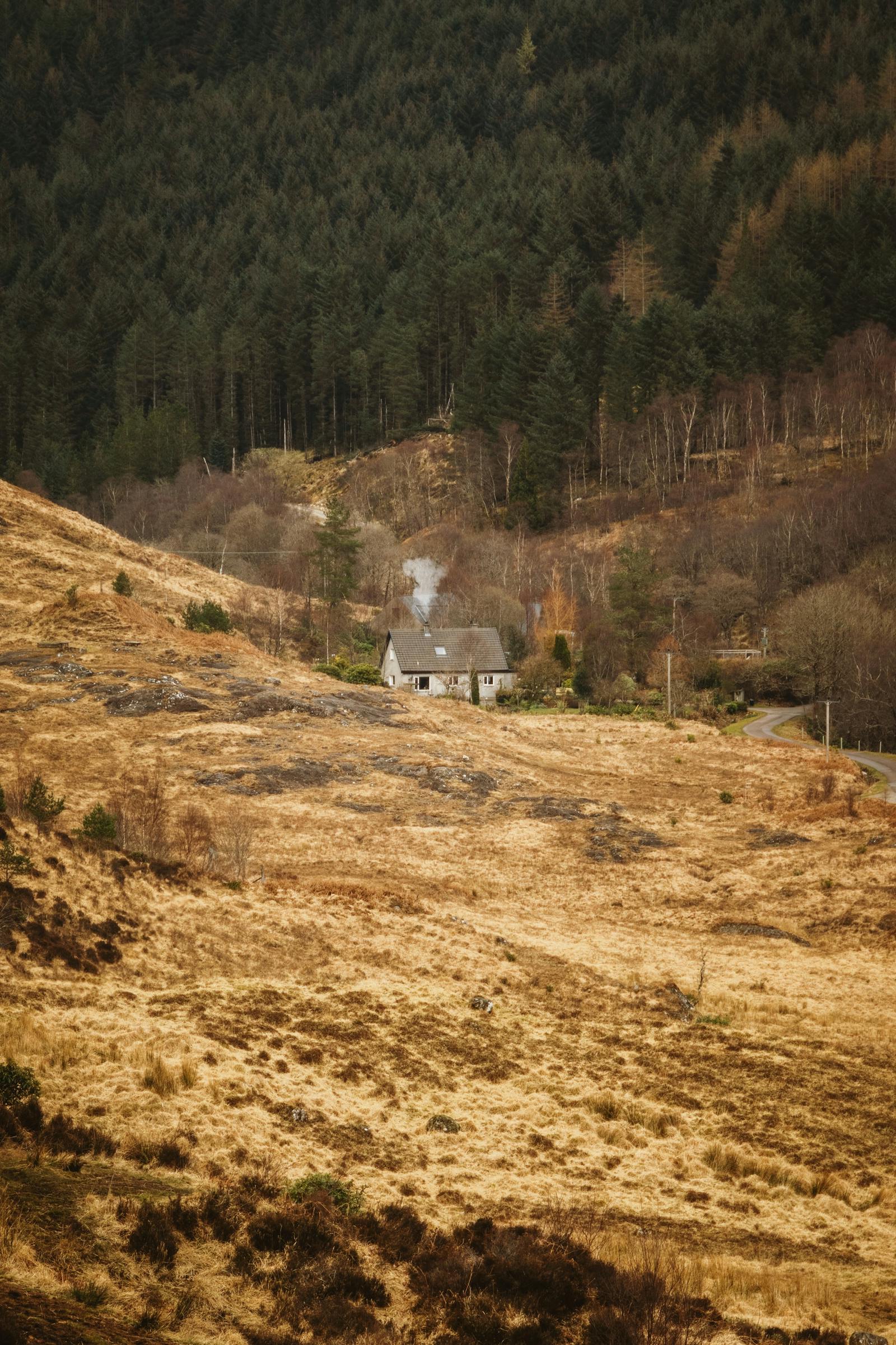 Nature House Photos, Download The BEST Free Nature House Stock Photos ...