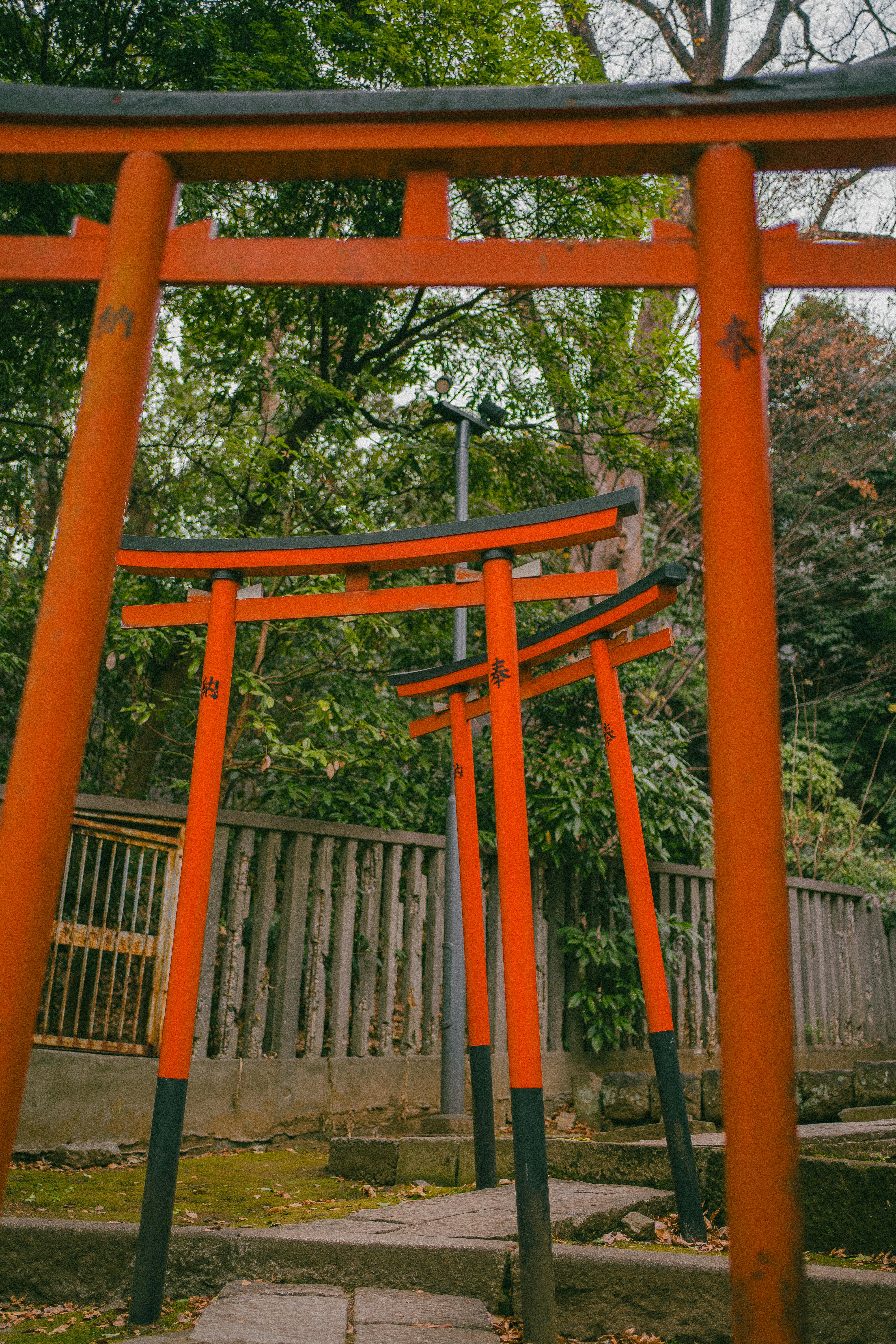 Traditional Red Torii Gate Pathway in a Serene Forest · Free Stock Photo
