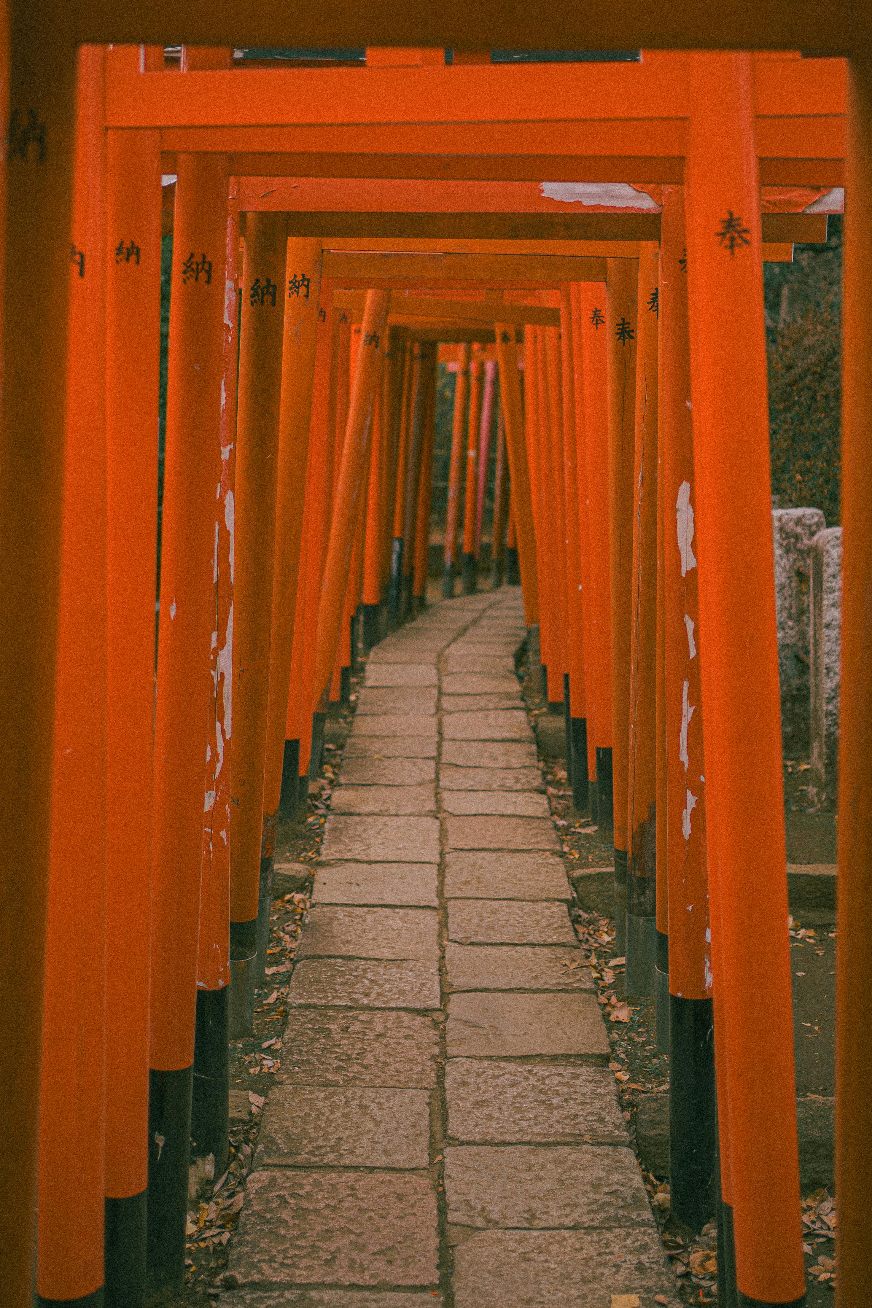 Fushimi Inari Taisha Torii Gates Pathway · Free Stock Photo