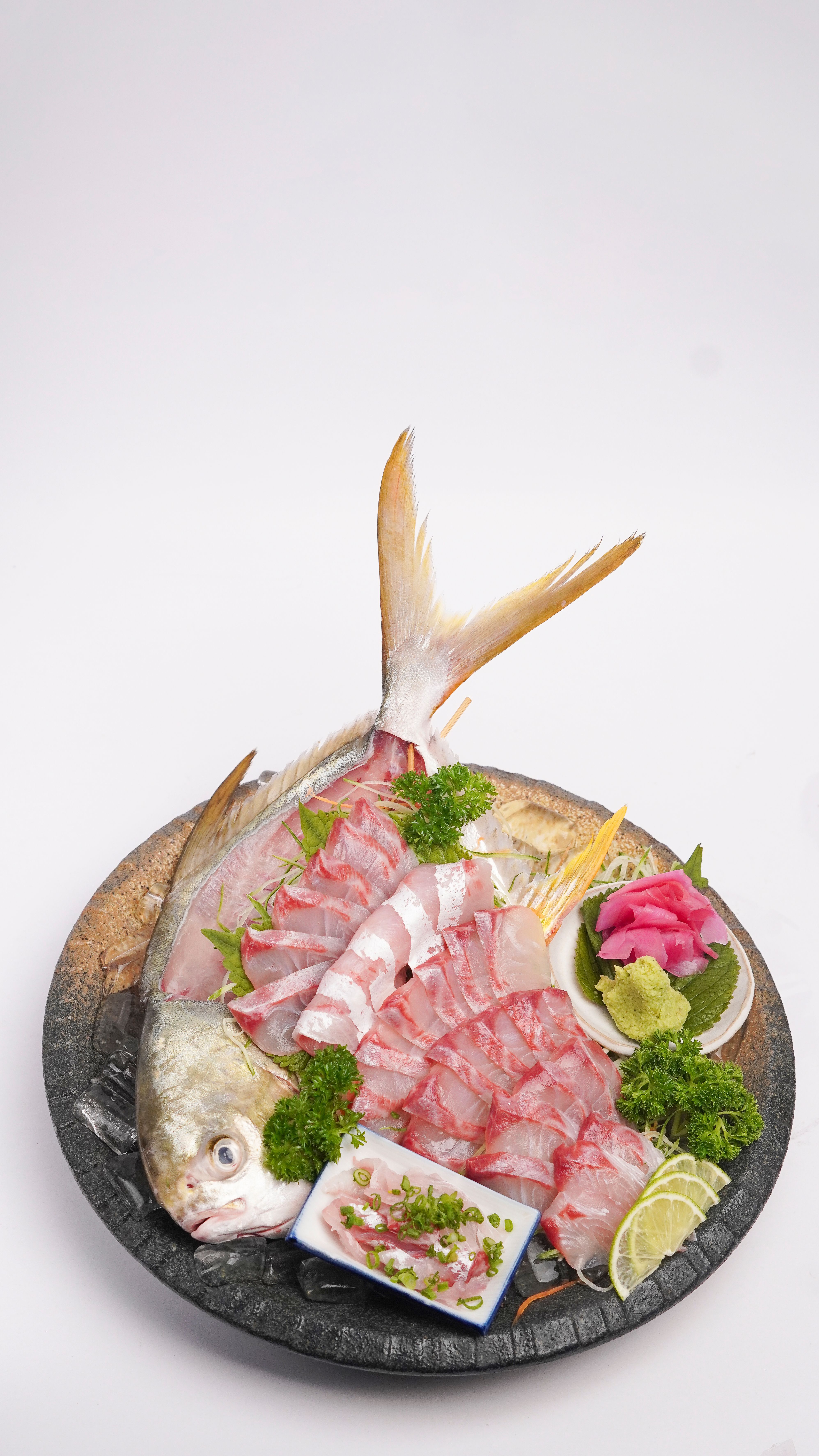 Japanese Fighter Fish Photos, Download The BEST Free Japanese Fighter ...