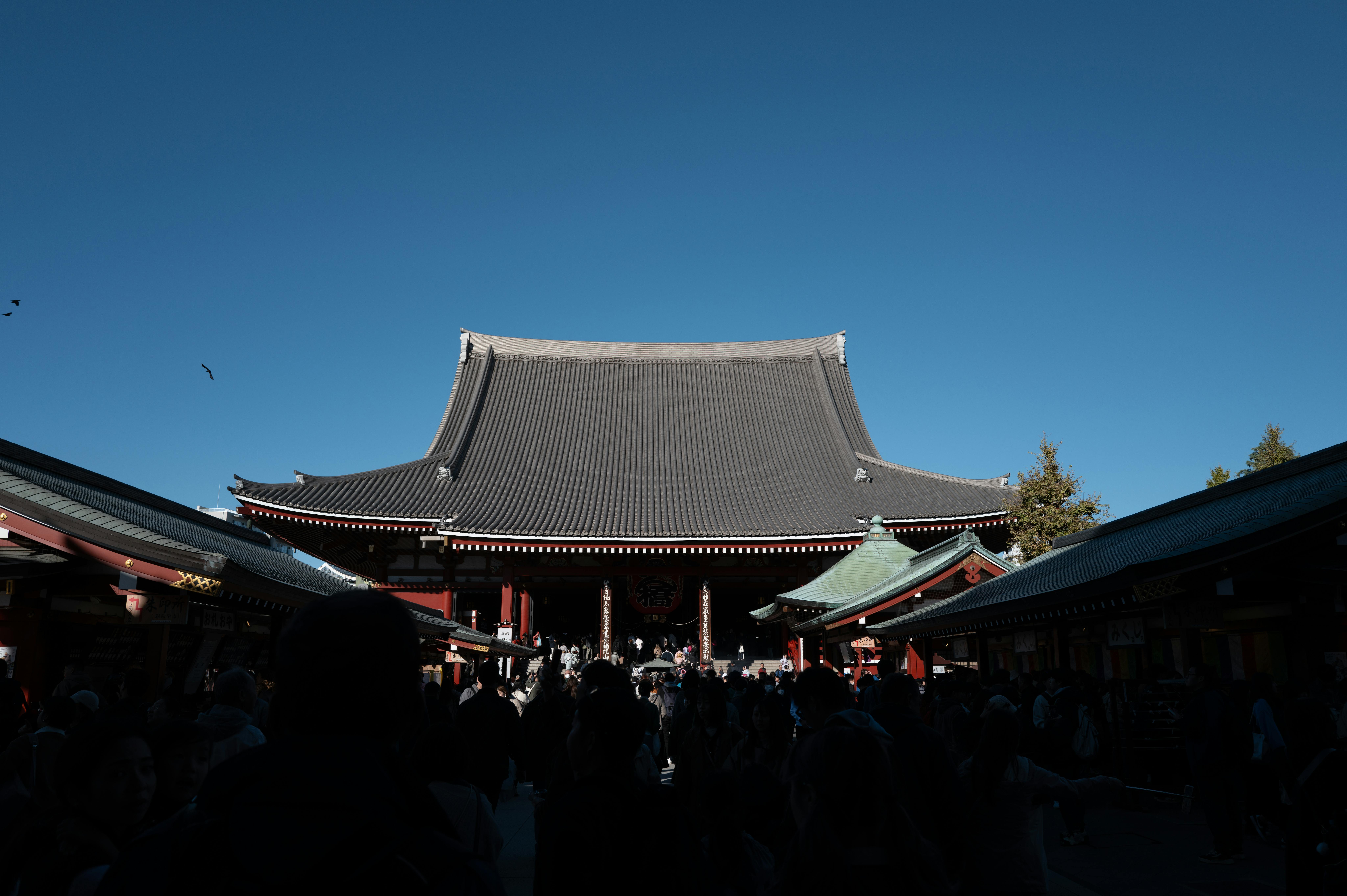 shane chen - Photography