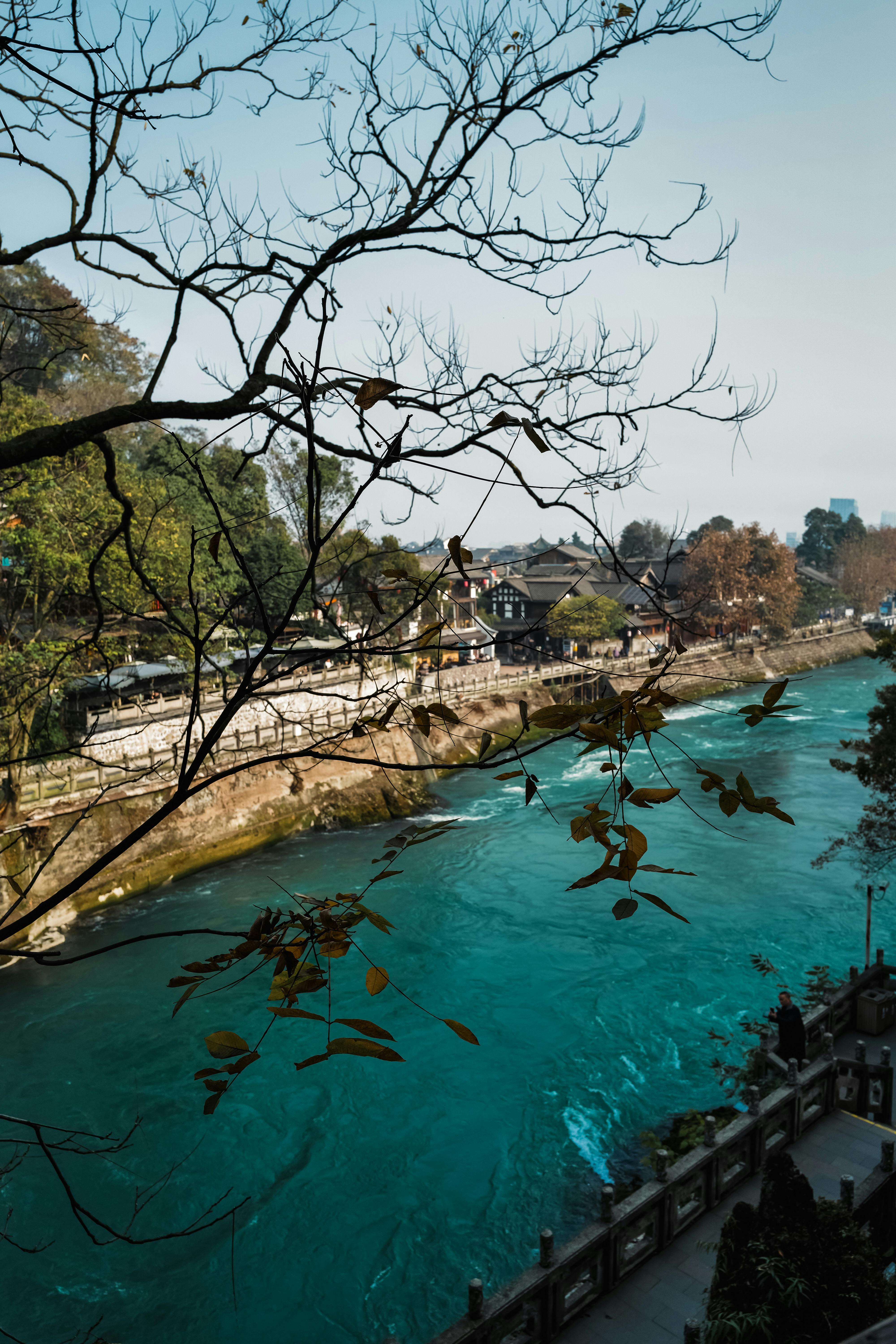 Brooke+Rollins+Swimsuit Photos, Download The BEST Free Brooke+Rollins ...