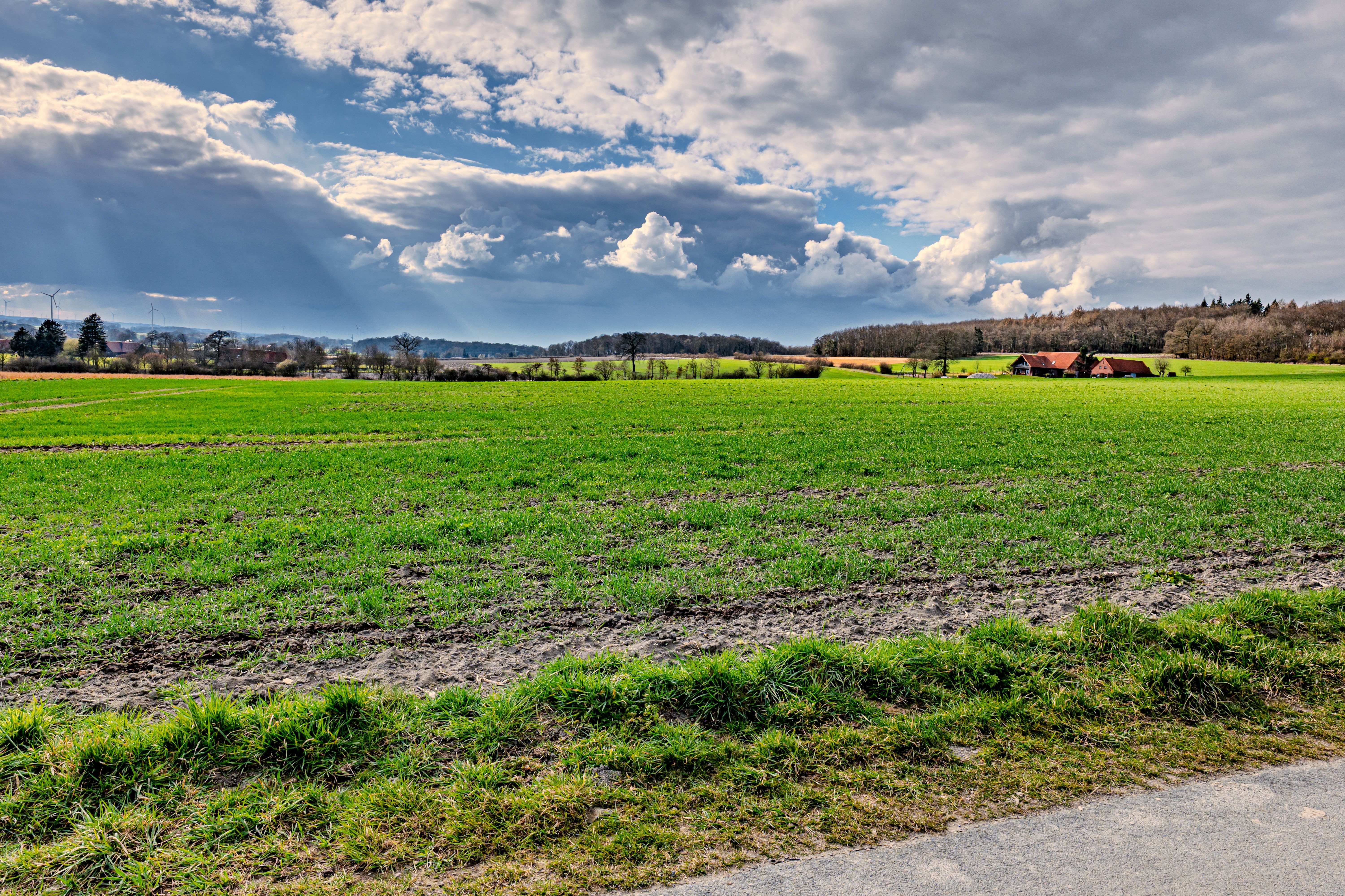 Scenic Spring Landscape with Green Fields · Free Stock Photo