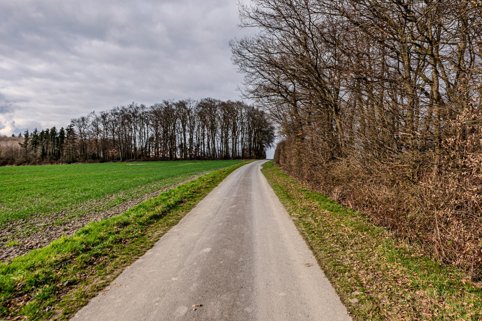 Barren Landscape Photos, Download The BEST Free Barren Landscape Stock ...
